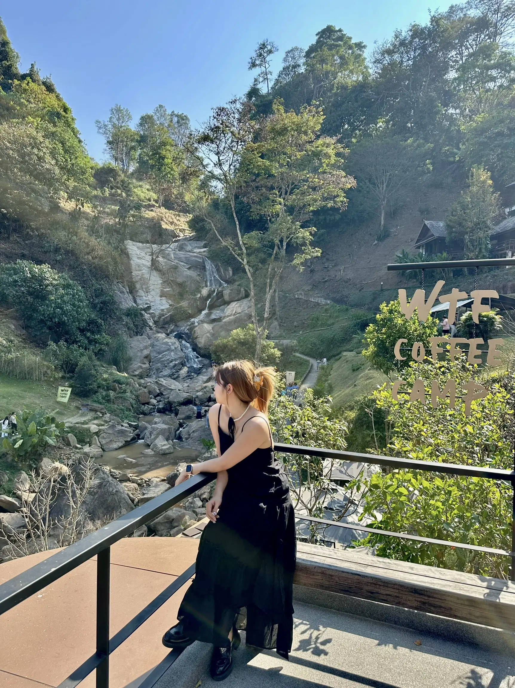 WTF coffee camp : คาเฟ่เชียงใหม่ที่ถูกต้องง🍃☕️ | แกลเลอรีที่โพสต์โดย ...