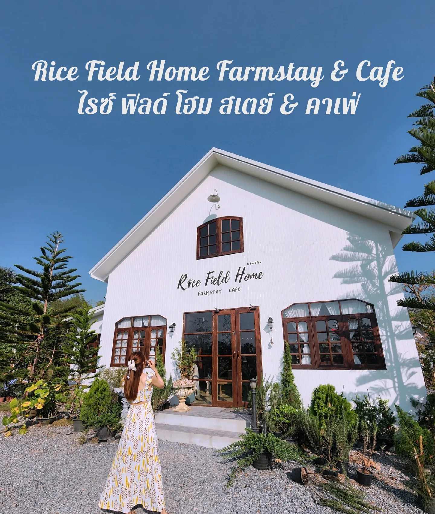 Rice Field Home Farmstay & Cafe ☕️🍵🍰 | แกลเลอรีที่โพสต์โดย Tan 🐷 | Lemon8