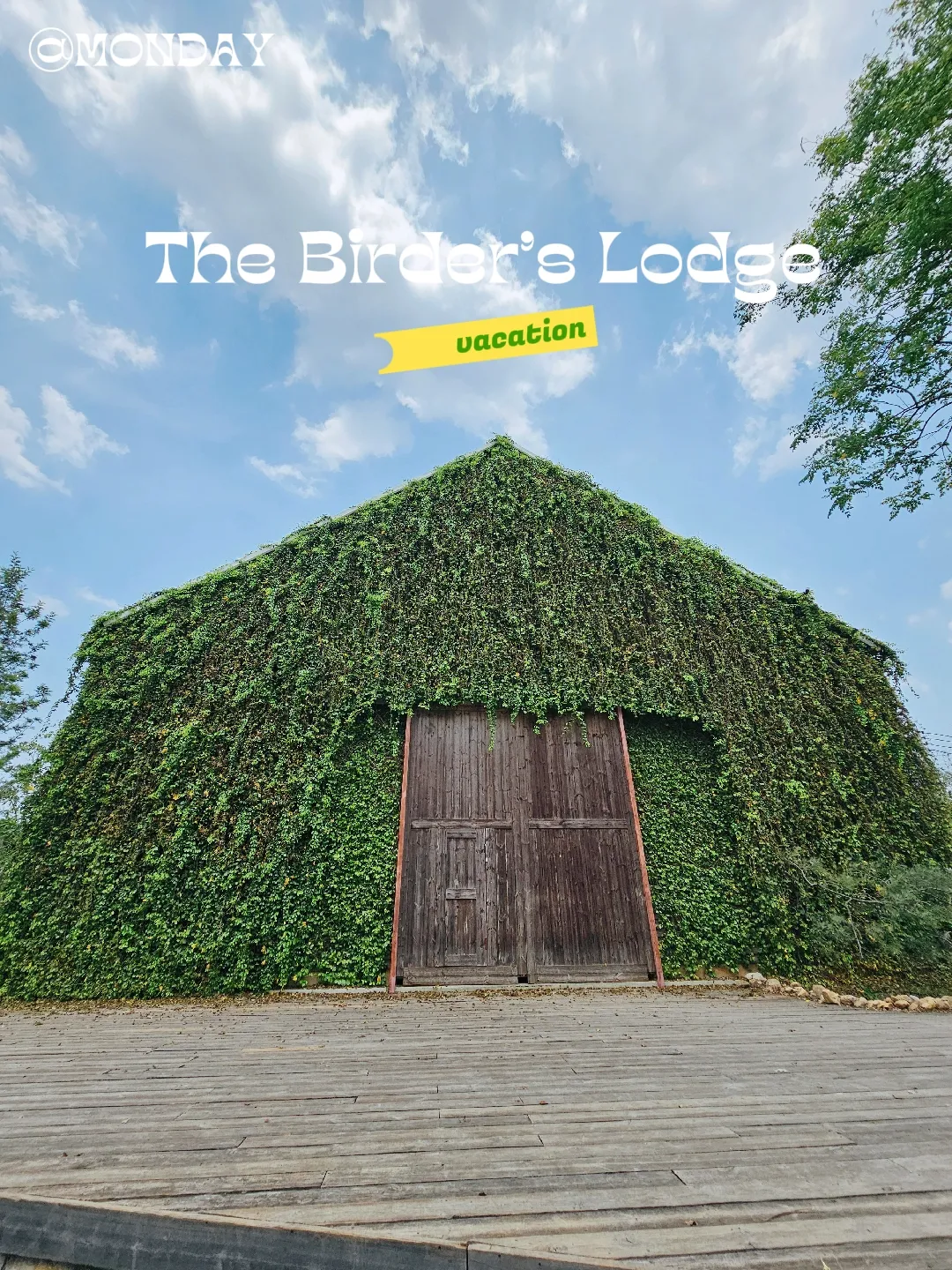The Birder's Lodge | แกลเลอรีที่โพสต์โดย กินลม ชมวิว | Lemon8