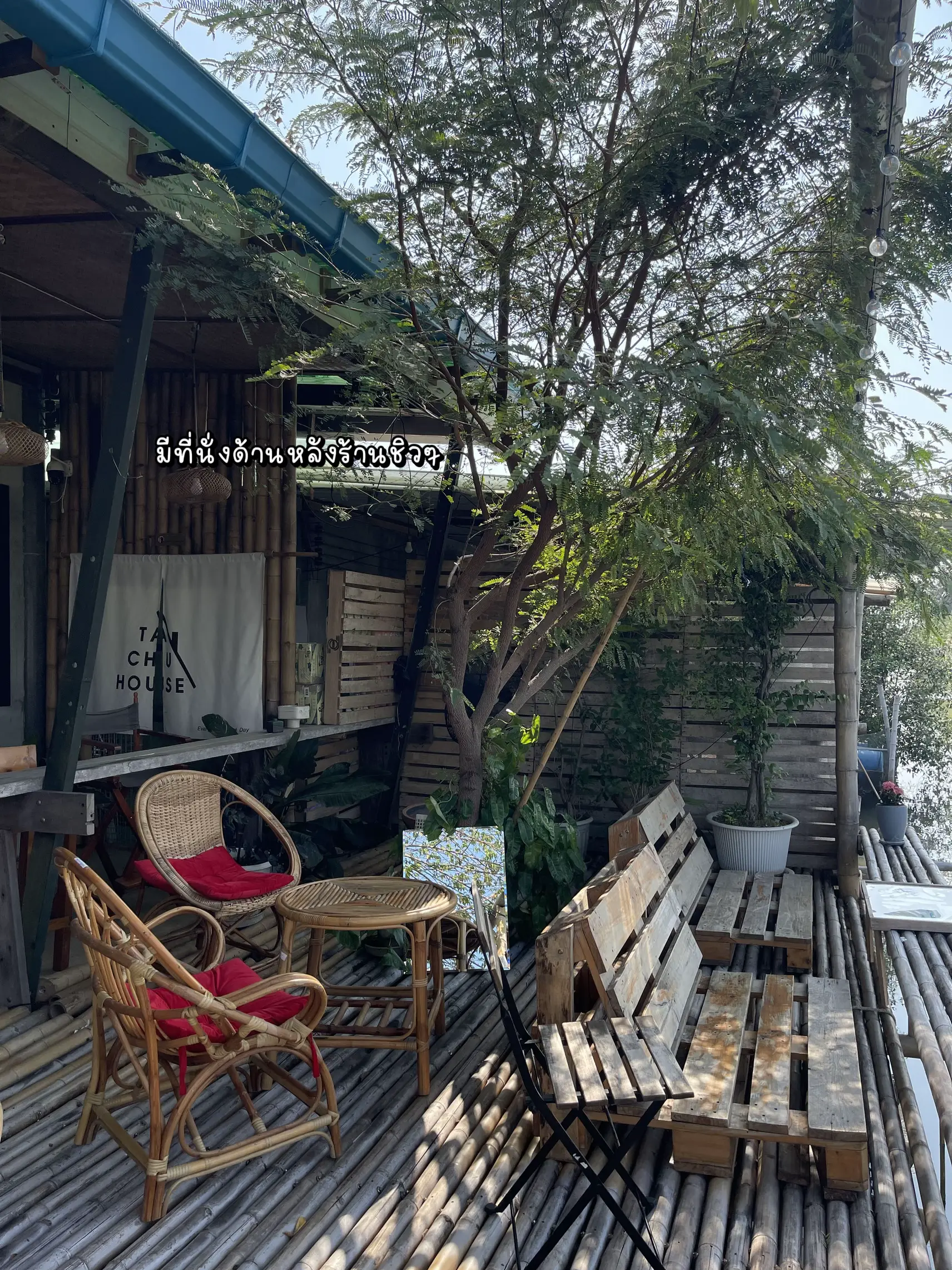 📍พิกัดร้านมัทฉะ สมุทรสาคร 💚Tachu House🌱 ถูกใจสายเขียว🥰 | แกลเลอรีที่ ...