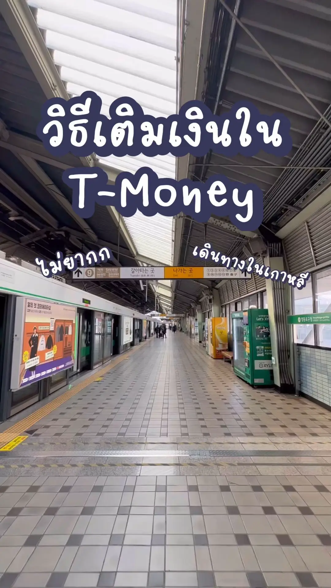 วิธีเติมเงินใน T-Money🍋 | วิดีโอที่เผยแพร่โดย มาจอย เจอนี่👽 | Lemon8