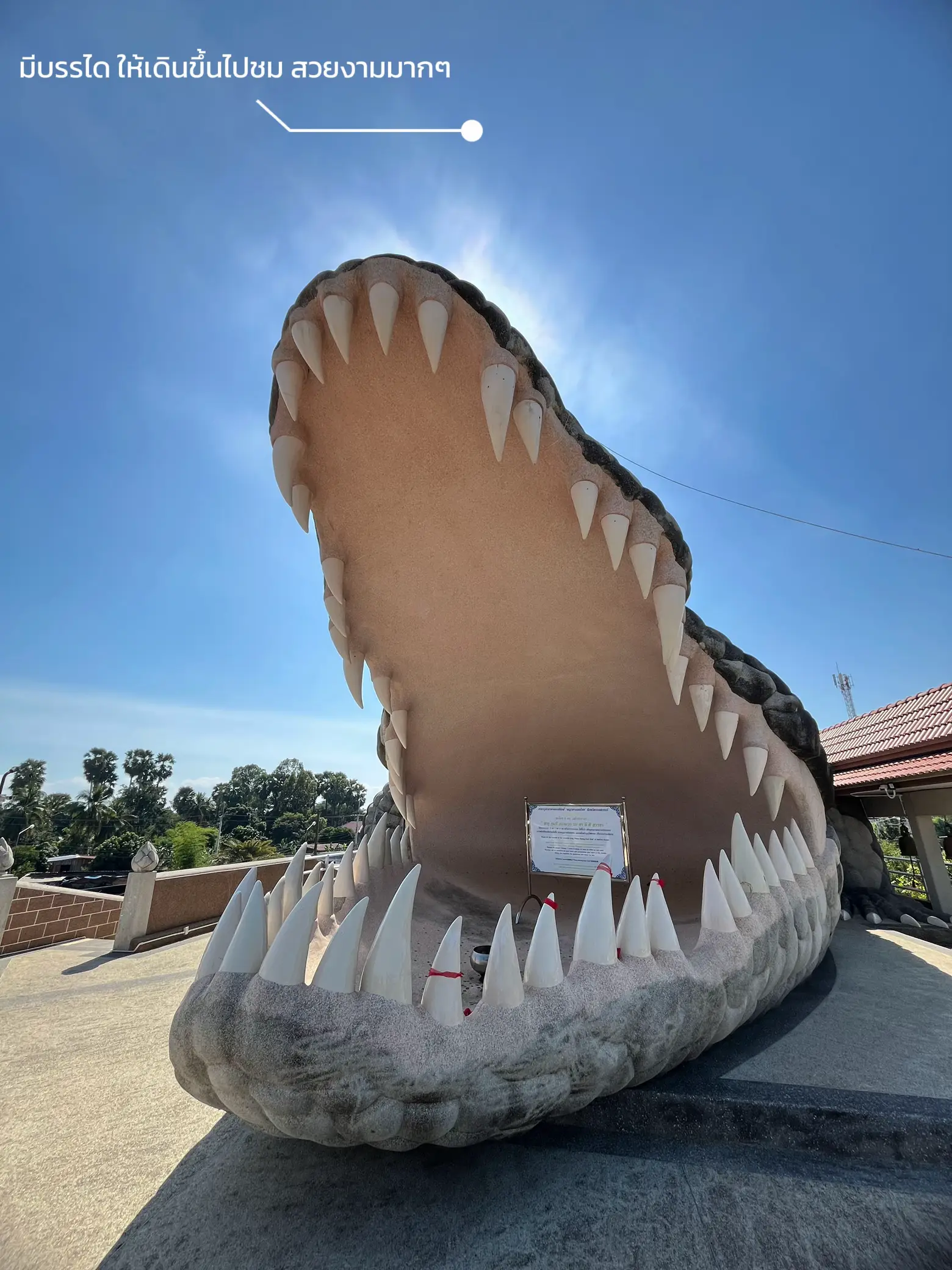 ไอ้ด่างเกยไชย | แกลเลอรีที่โพสต์โดย Weerayut | Lemon8