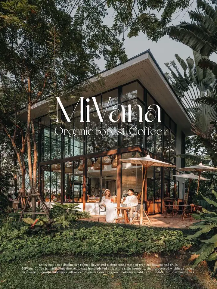 MiVana Organic Forest Coffee | แกลเลอรีที่โพสต์โดย Lazy Coup | Lemon8