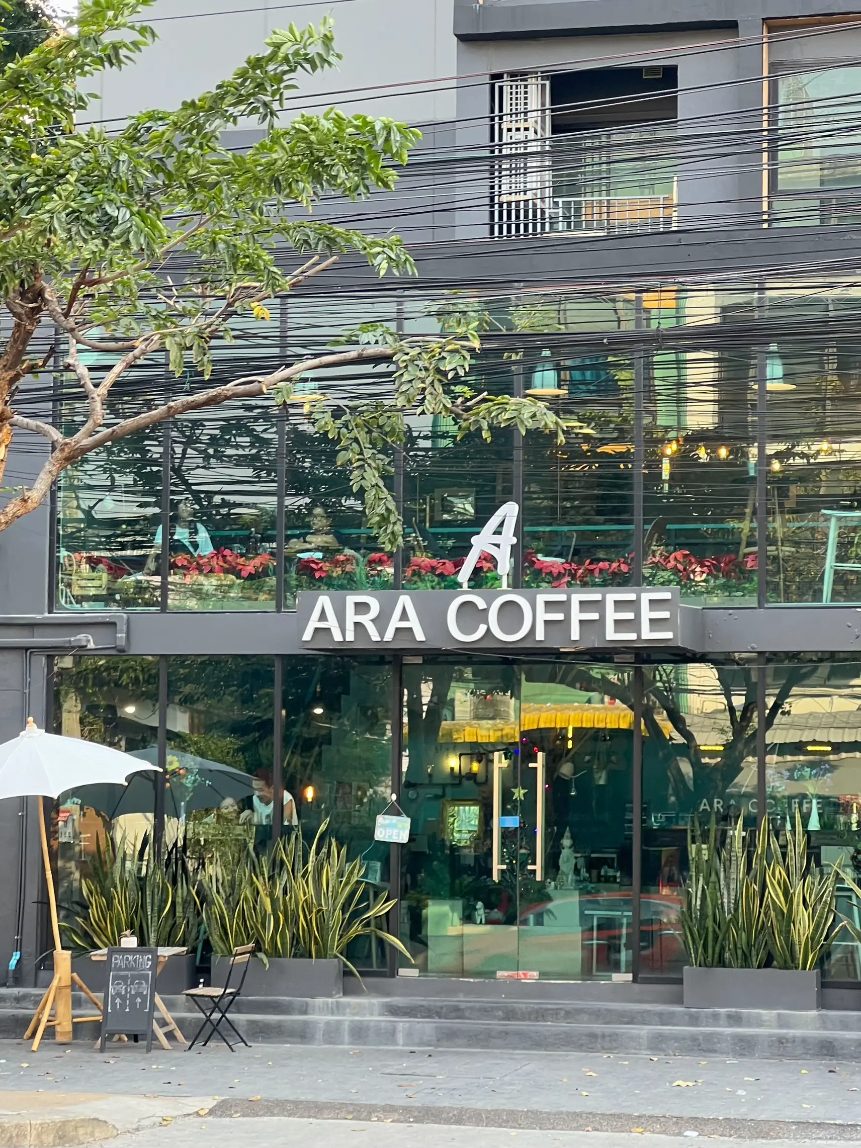 ARA COFFEE🩵 | แกลเลอรีที่โพสต์โดย อีฟไม่กินผัก🐷 | Lemon8