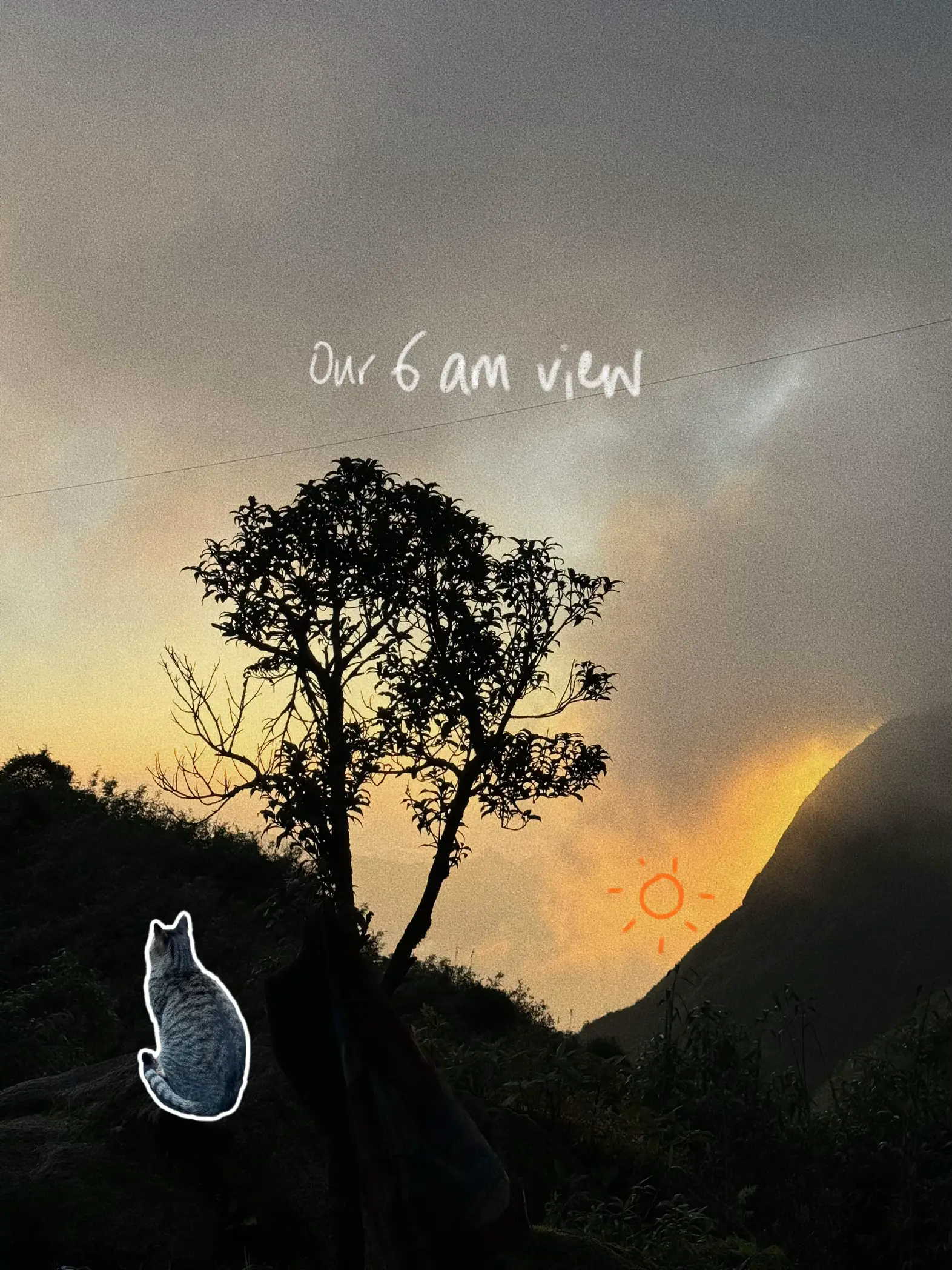 Hiking Fansipan (2D1N) | Gallery posted by Tini ☀️ | Lemon8