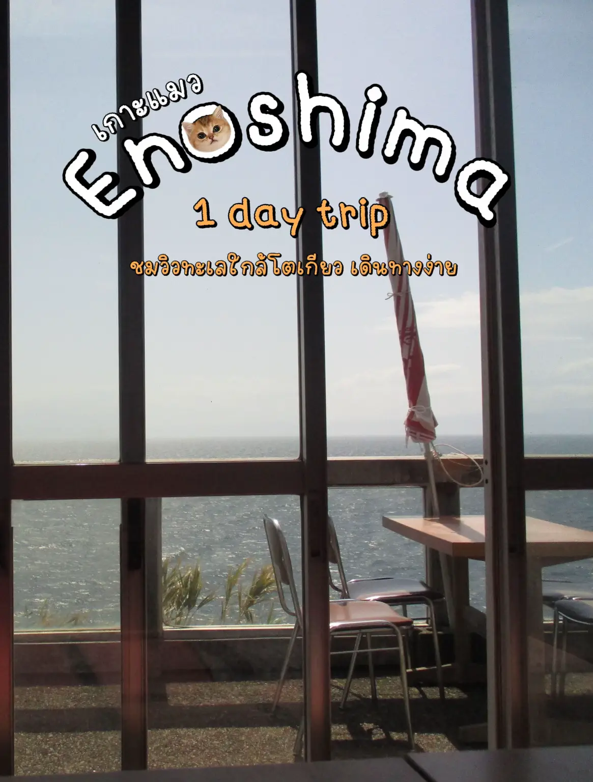 Enoshima Island 🏝️🐈 | แกลเลอรีที่โพสต์โดย ssameq | Lemon8