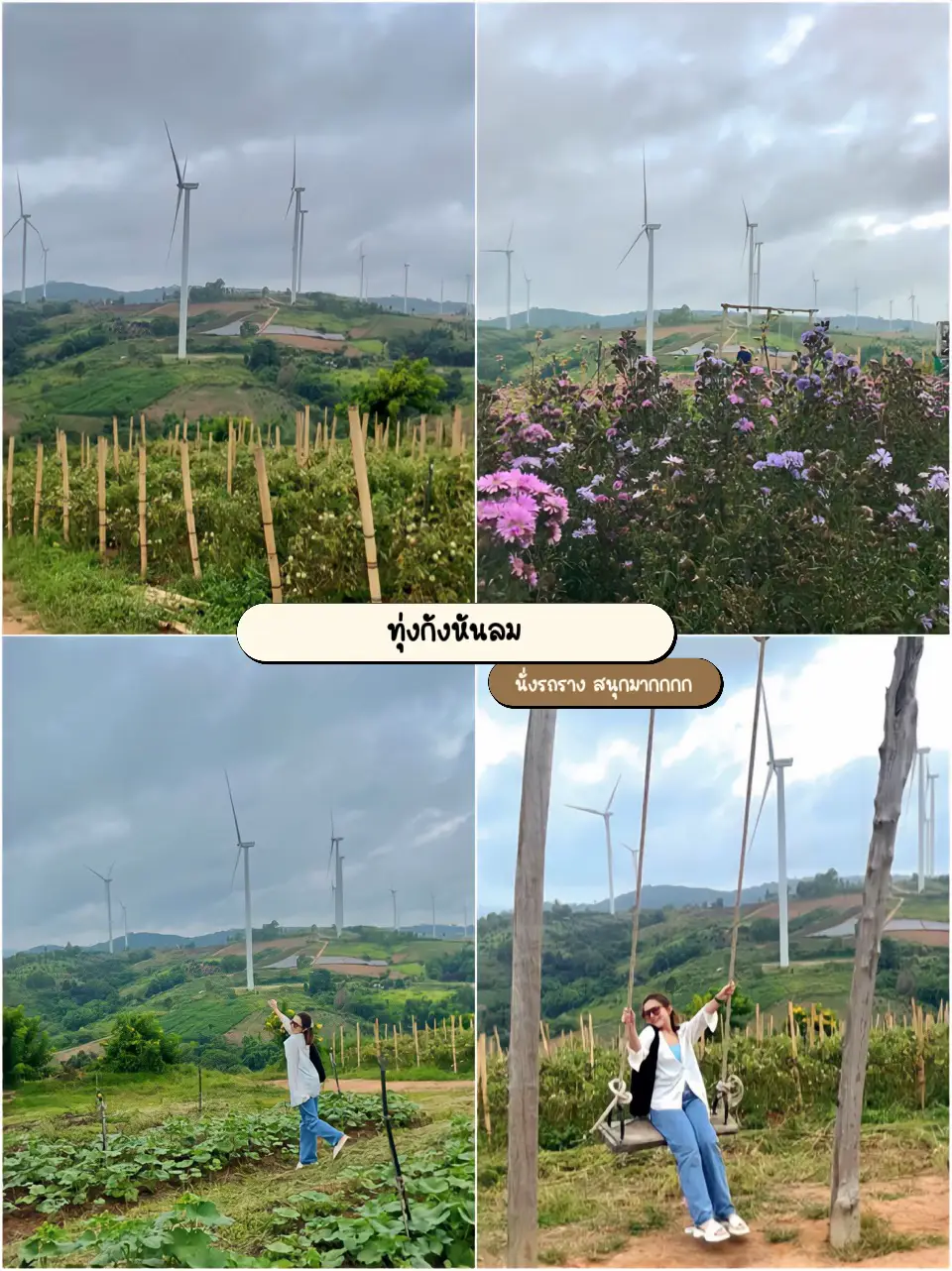 เขาค้อ | แกลเลอรีที่โพสต์โดย 🧸SI RI KAN | Lemon8