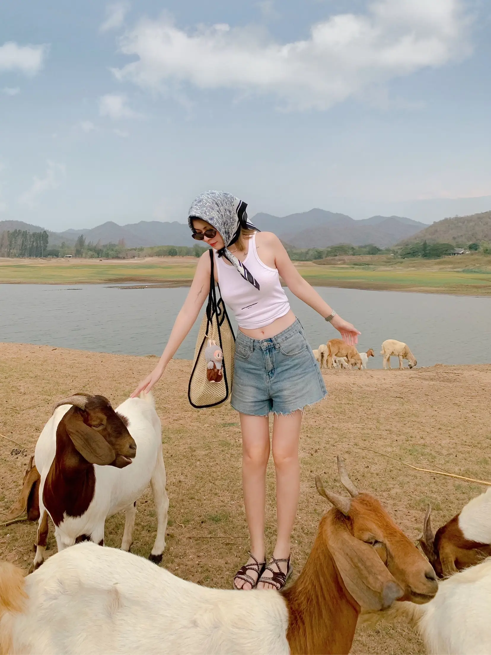 ฟาร์มแพะที่เขื่อนปราณบุรี🐐🌾 | แกลเลอรีที่โพสต์โดย SuperCat | Lemon8