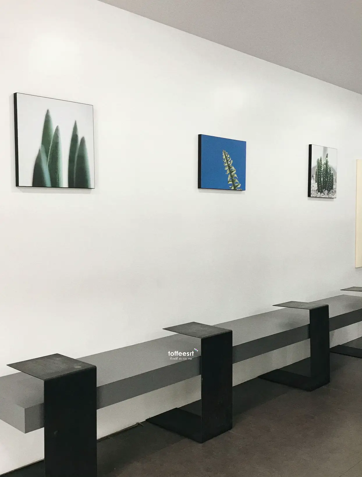 คาเฟ่หาดใหญ่ AVENUE คนพื้นที่แนะนำ เครื่องดื่มราคาดี รสชาติอร่อย | แกลเลอรีที่โพสต์โดย toffeesrt ...