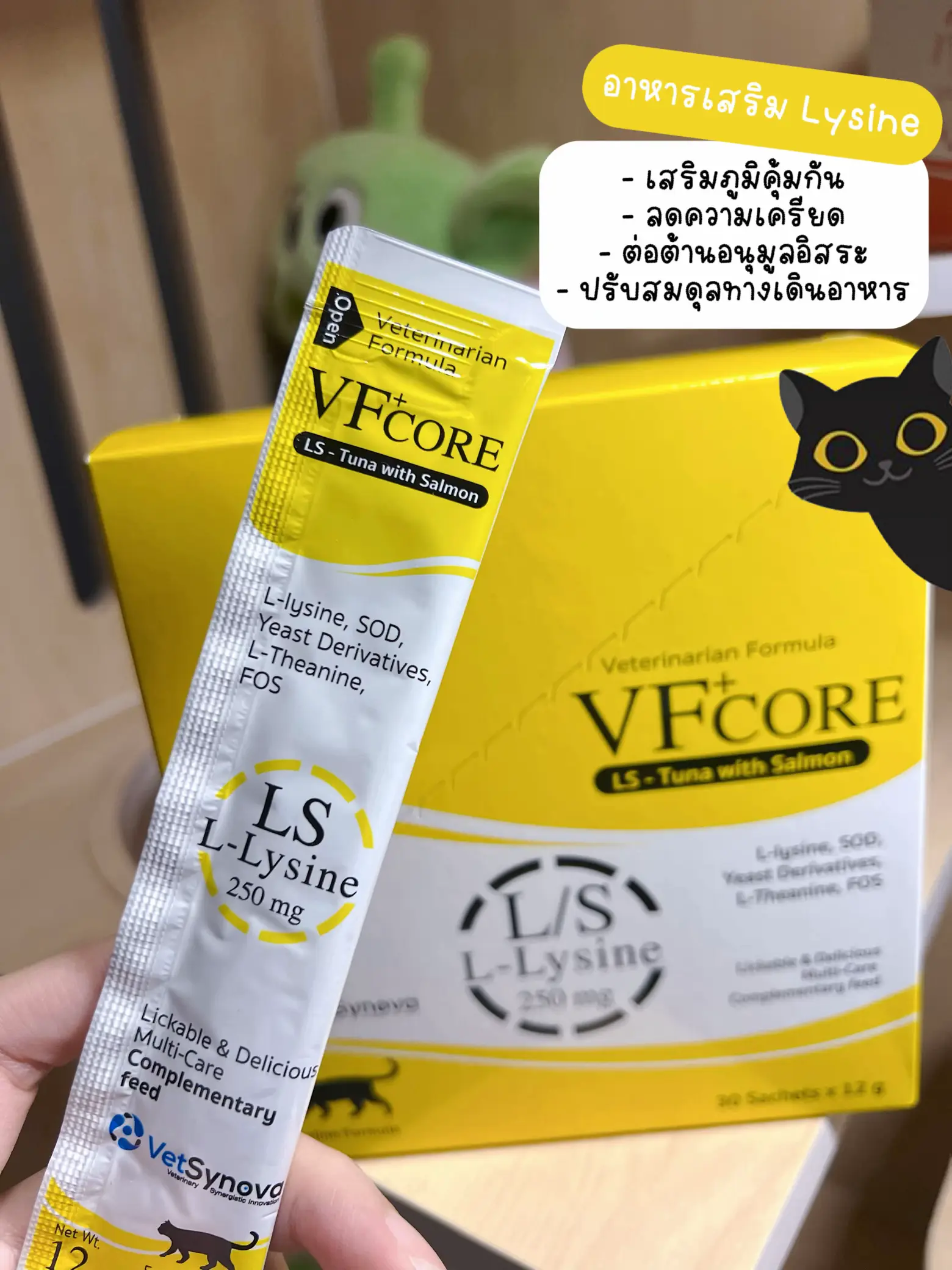 VF+Core เติบโตไปเป็นน้องแมวที่แข็งแรง 💪🏻😻 | แกลเลอรีที่โพสต์โดย ᴍʜᴜᴍɪɴᴛ ♡︎ | Lemon8