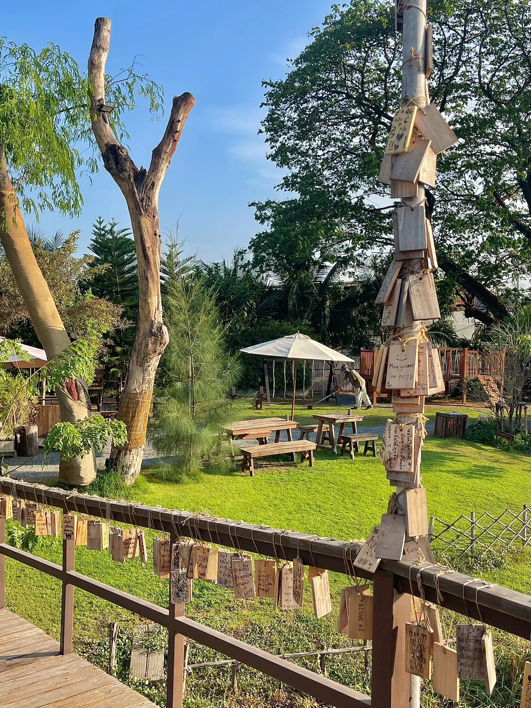 THREE ICONIC คาเฟ่สไตล์ญี่ปุ่นย่านคลองหก ปทุมธานี 🎋⛩️🪨 🍝 | แกลเลอรีที่ ...