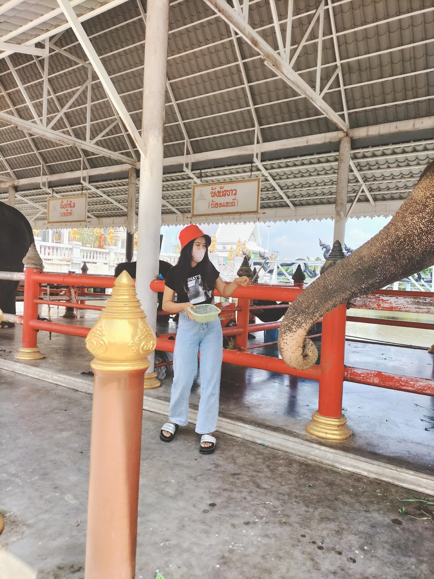 #สายมูเจิมกระเป๋าสตางค์รับทรัพย์ วัดวีระโชติฯ | แกลเลอรีที่โพสต์โดย Mayy_Thanin | Lemon8