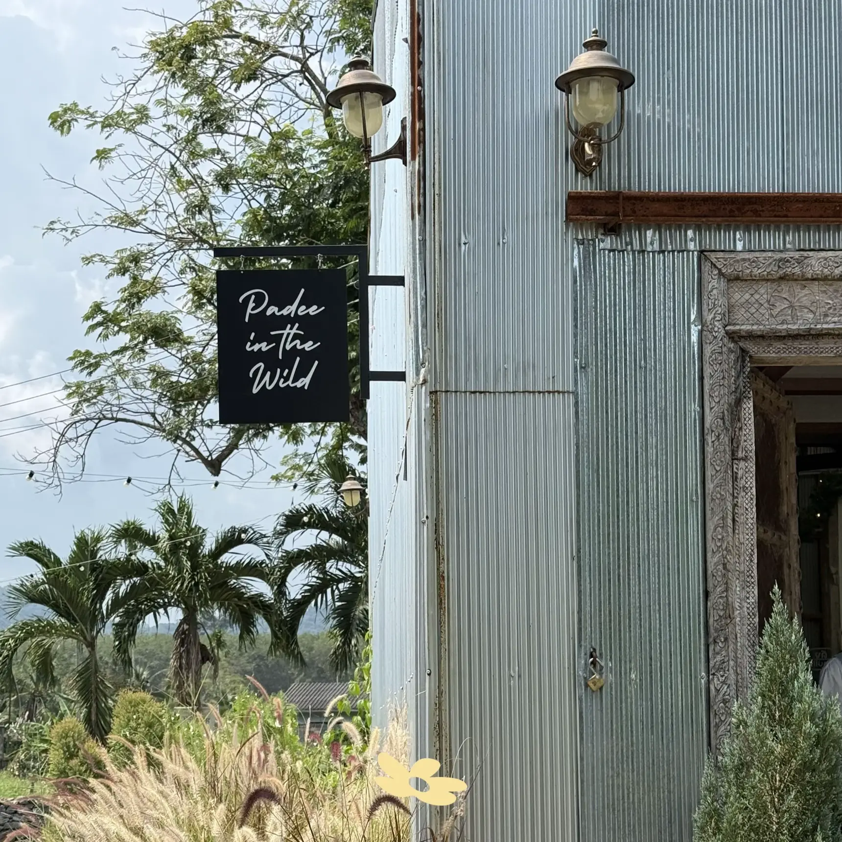 📍 คาเฟ่สุดชิคในสวน - Padee in the Wild, ระยอง 🌿 | แกลเลอรีที่โพสต์โดย ...