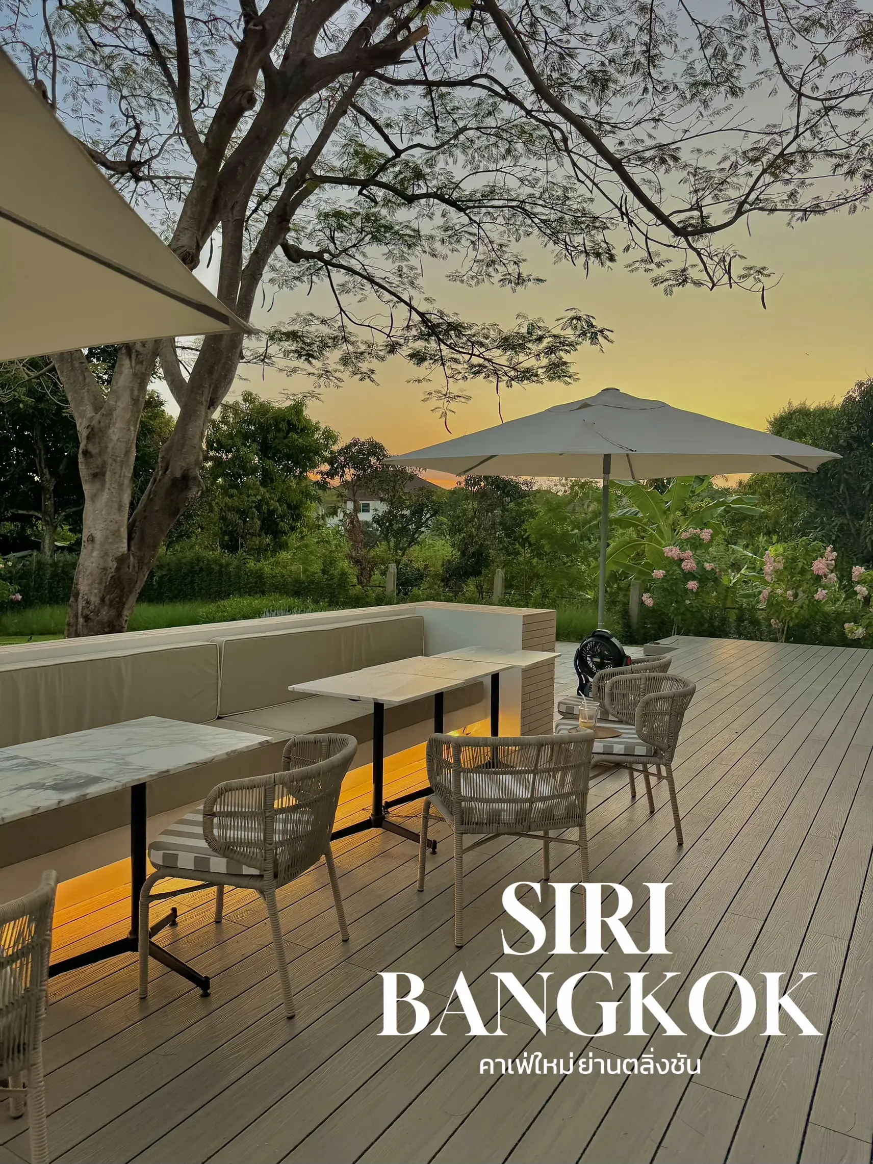 Sasi bangkok คาเฟ่ใหม่ ย่านตลิ่งชัน | แกลเลอรีที่โพสต์โดย Pang Supavadee | Lemon8