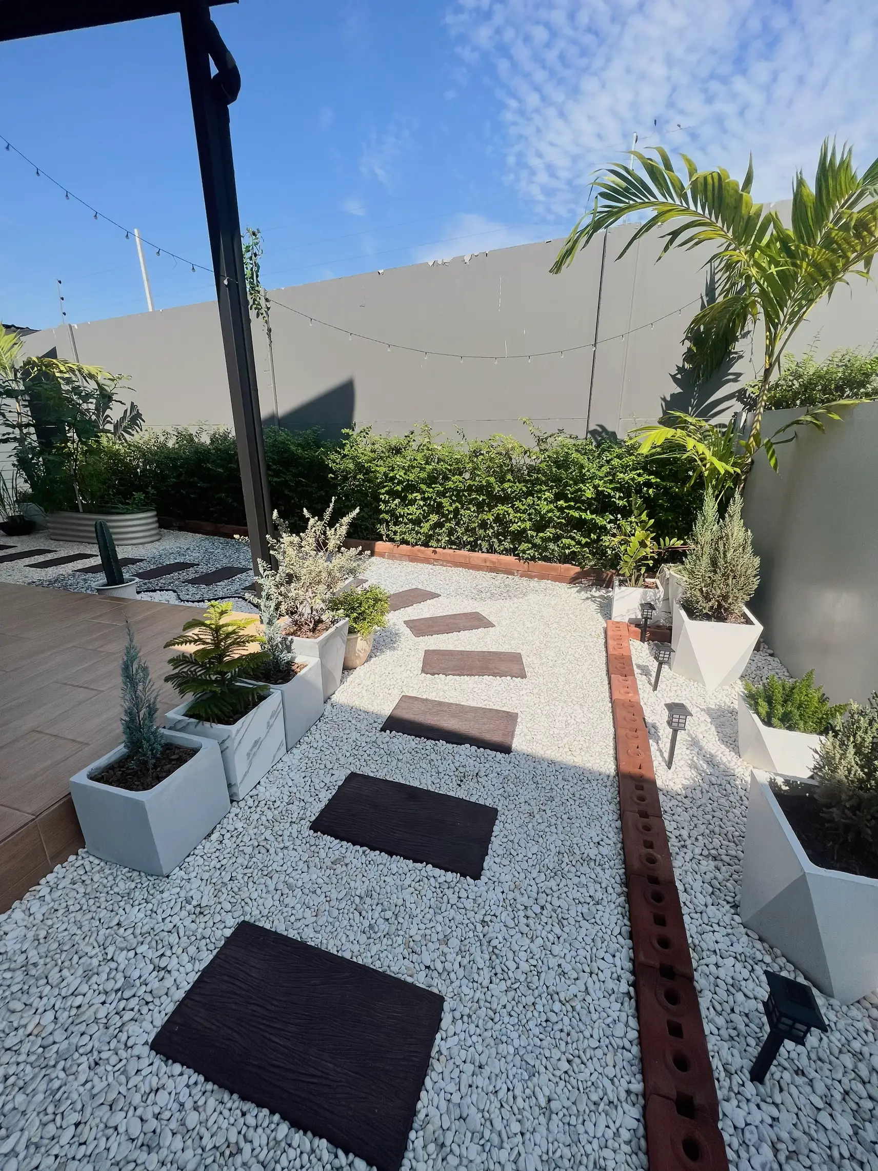 รีวิว สวนข้างบ้าน 🥦🪴🍂 | แกลเลอรีที่โพสต์โดย Pla._.Boo | Lemon8