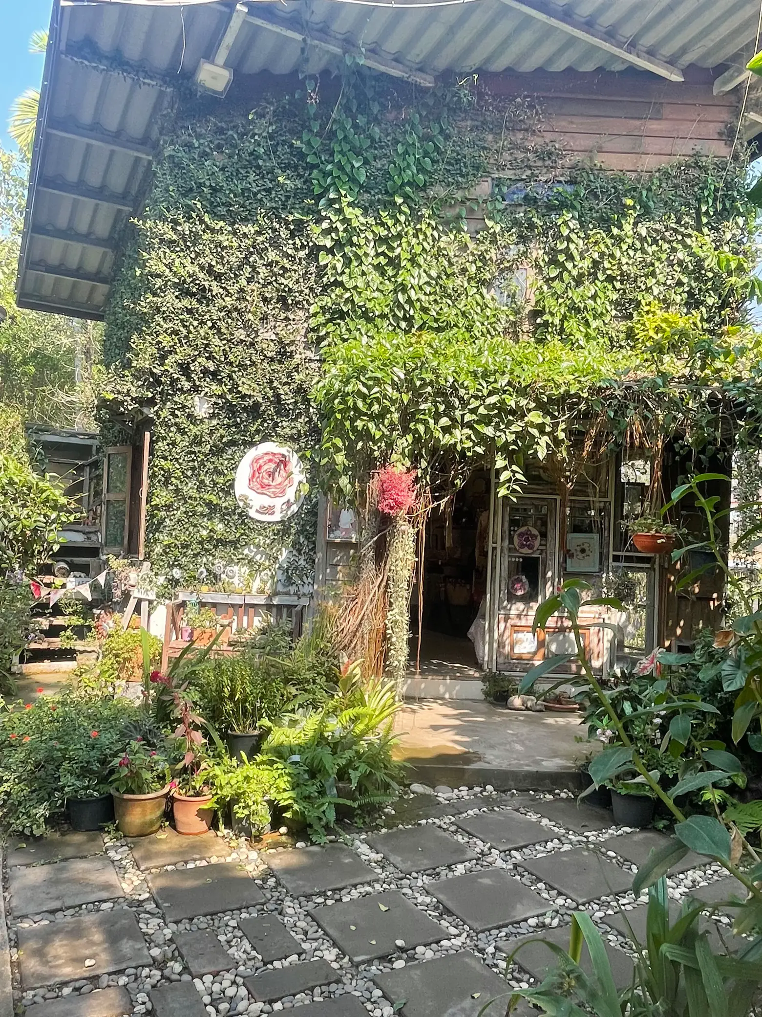 เที่ยวเชียงใหม่คนเดียว 🍋 | แกลเลอรีที่โพสต์โดย patch_ | Lemon8