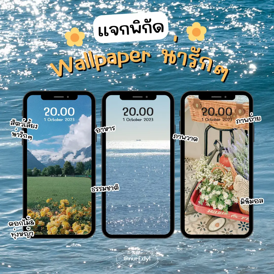 grafolio wallpaper - การค้นหาใน Lemon8