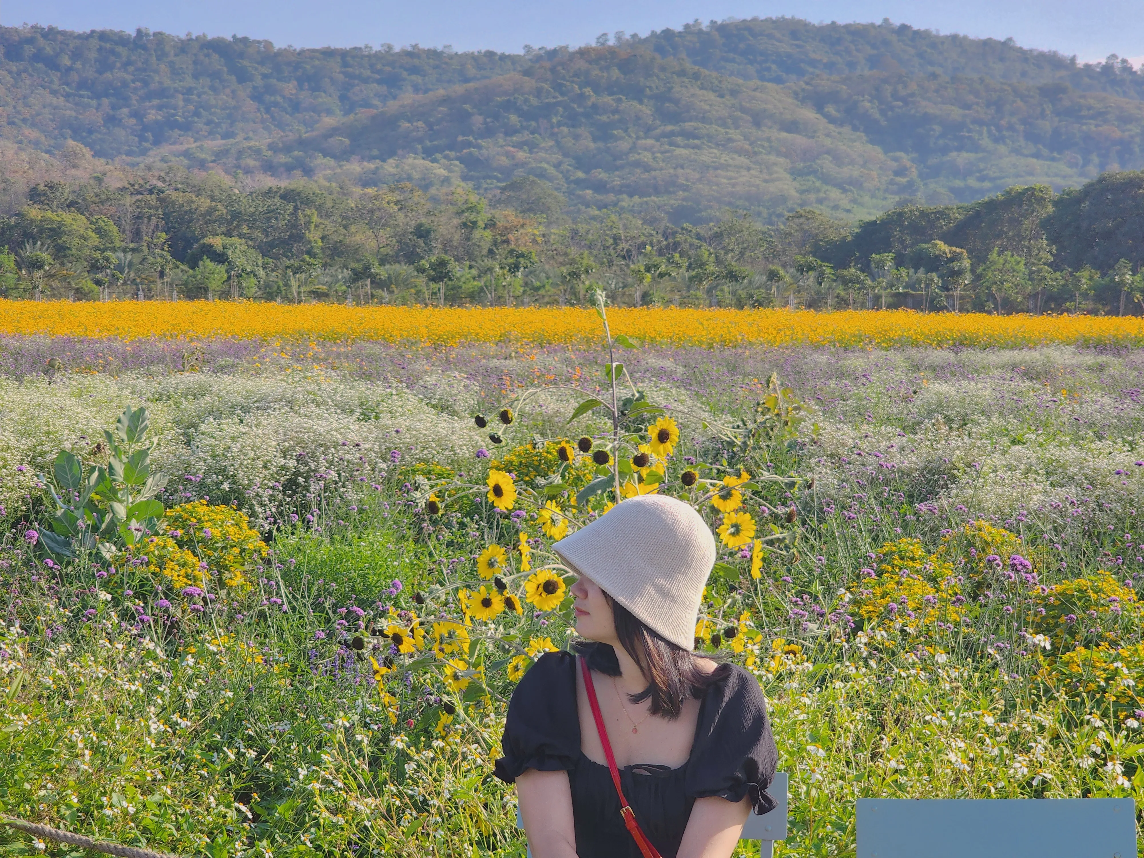 cafe khaoyai | แกลเลอรีที่โพสต์โดย Look Pla | Lemon8