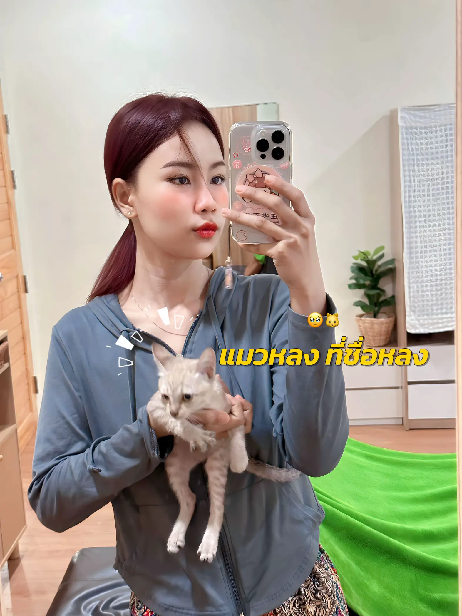 แมวหลง ที่ชื่อหลง | Gallery posted by 1999-🧸🤍 | Lemon8