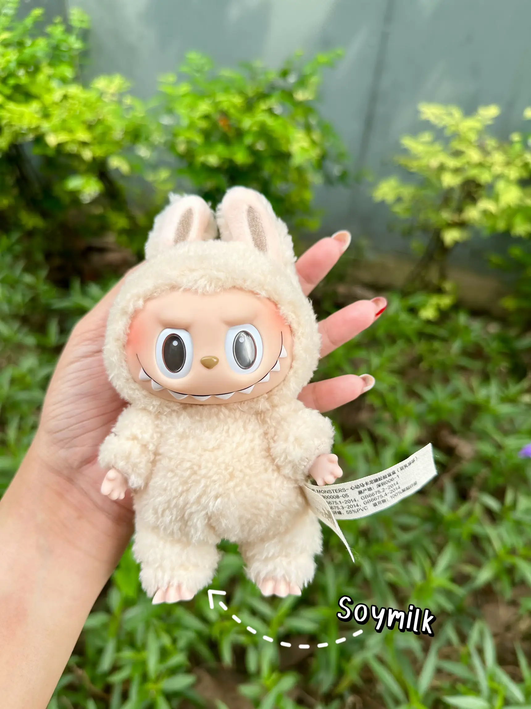 19 ไอเดียยอดนิยมเกี่ยวกับ Labubu กล่องใสกับซอง ในปี 2024