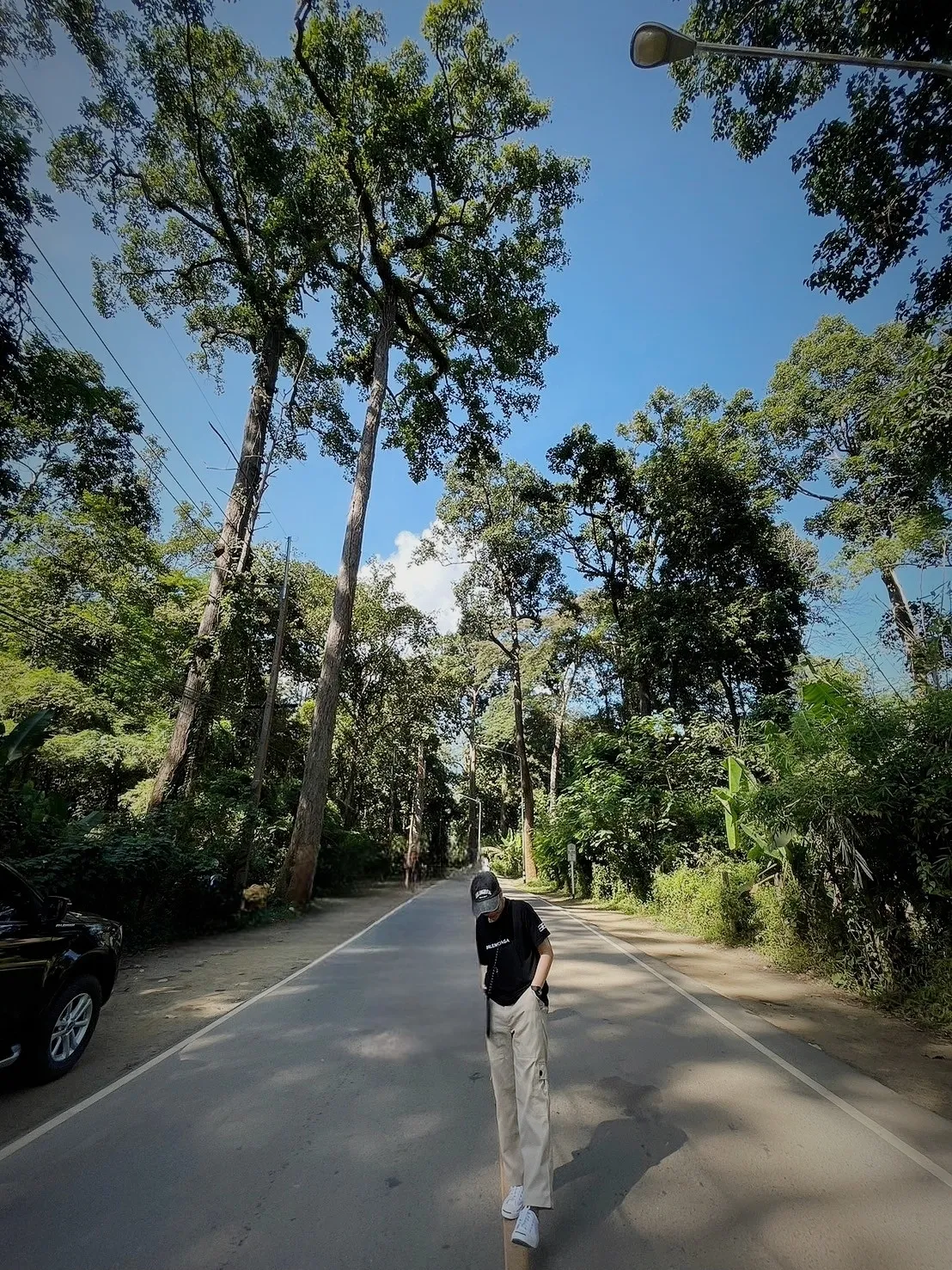 🌳🌳 | แกลเลอรีที่โพสต์โดย Lakkana | Lemon8