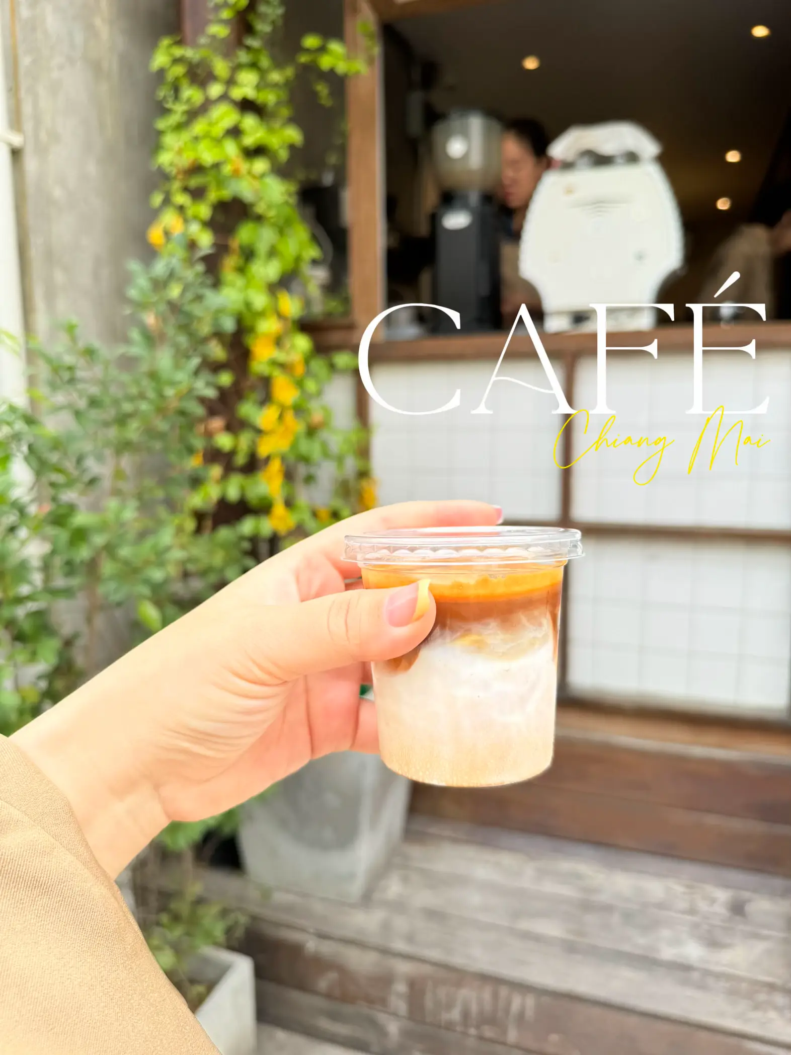 MOOH Cafe Chiang Mai 🐷 | แกลเลอรีที่โพสต์โดย minmin.pit | Lemon8