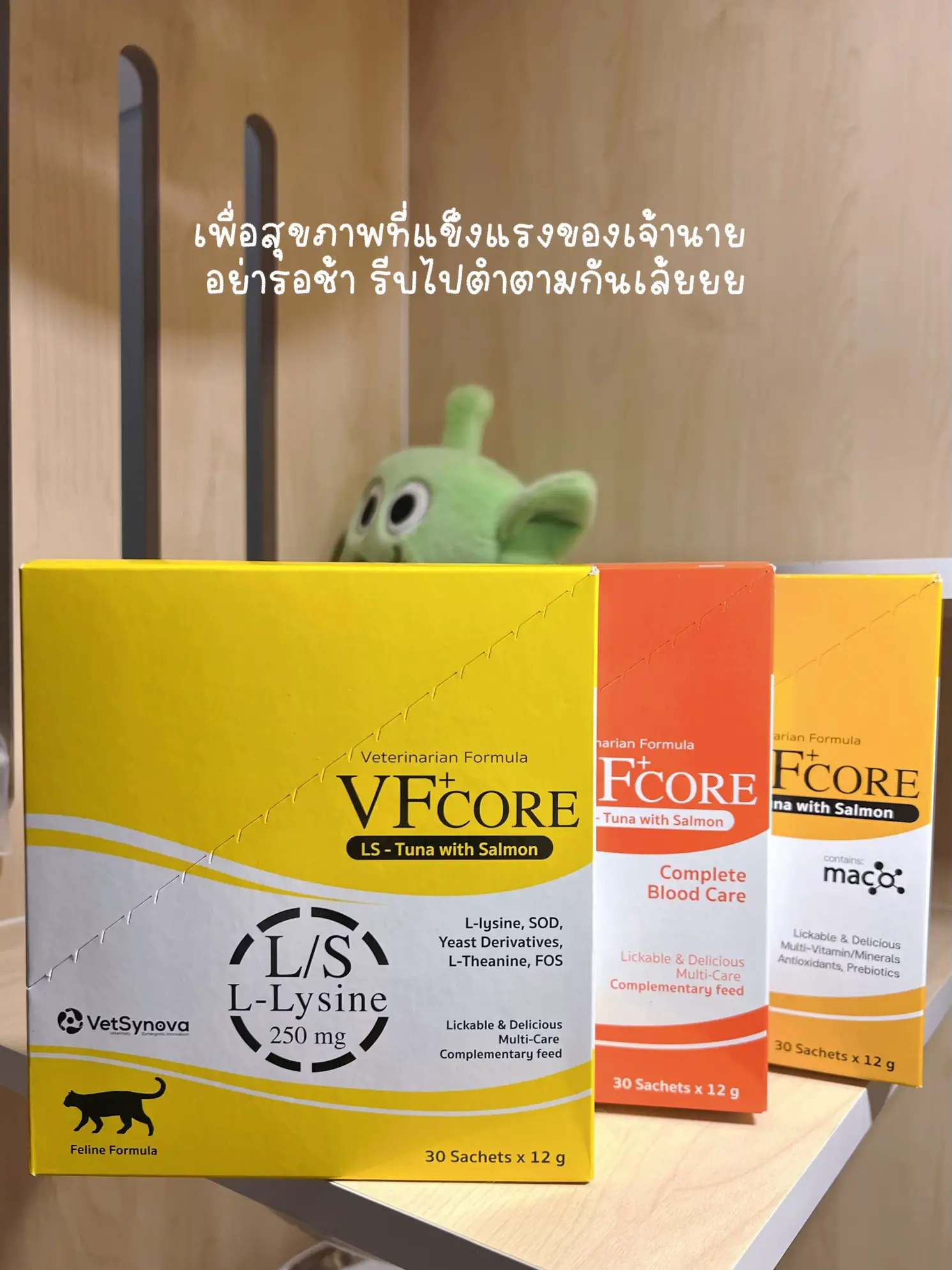 VF+Core เติบโตไปเป็นน้องแมวที่แข็งแรง 💪🏻😻 | แกลเลอรีที่โพสต์โดย ᴍʜᴜᴍɪɴᴛ ♡︎ | Lemon8