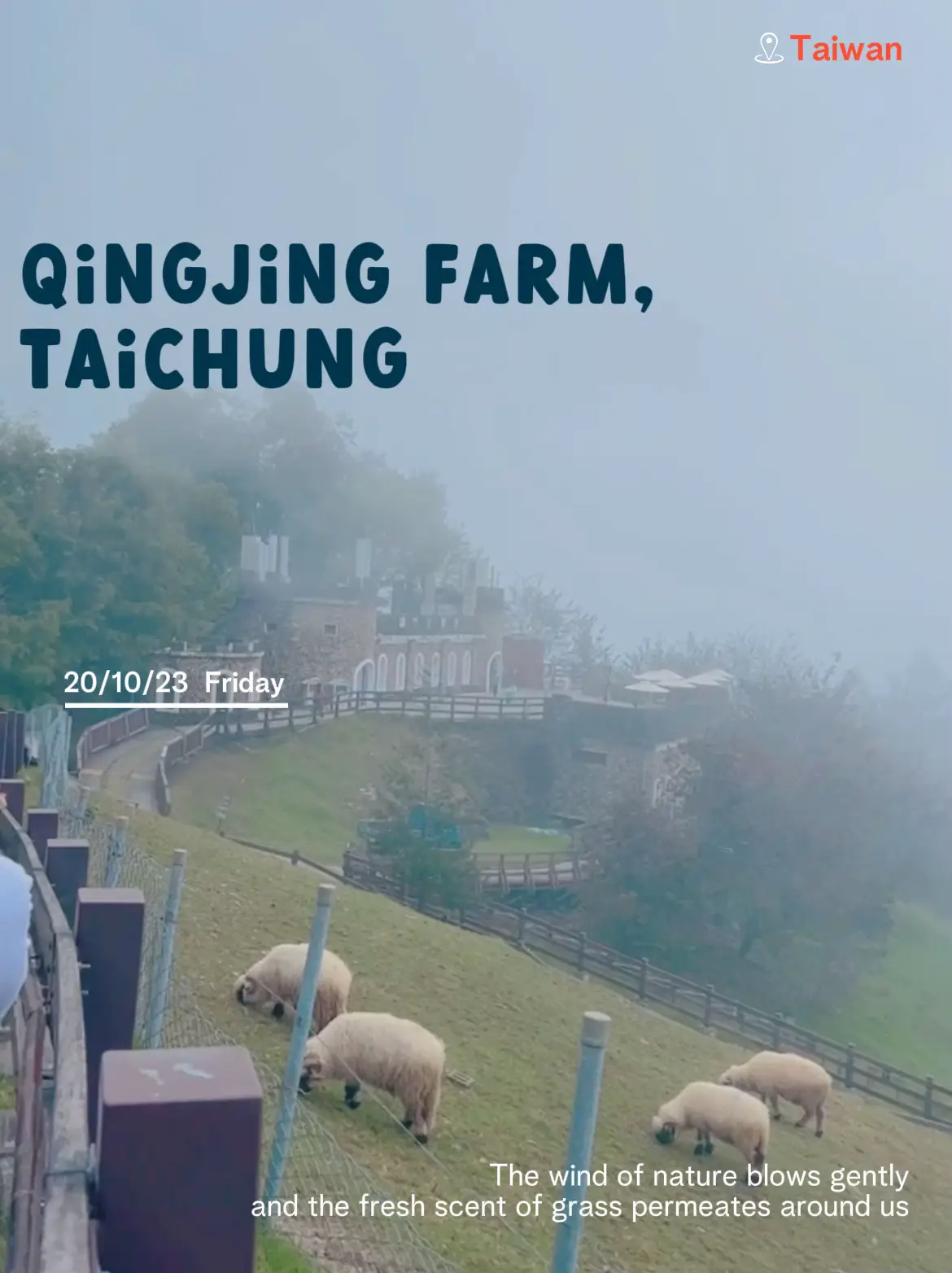 Taichung: is Qingjing Farm worth visiting? 🐑 | Gallery posted by xinyi ...