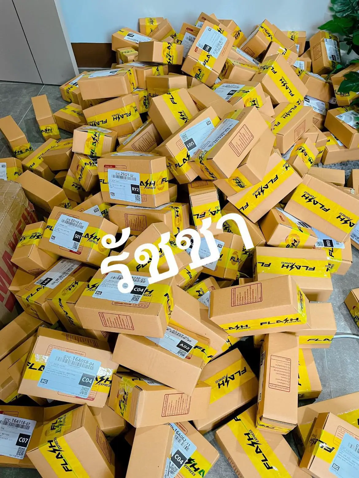 ออนไลน์ไม่ใช่ทางเลือก จริงหรอ ?😢 | แกลเลอรีที่โพสต์โดย Ratcha.246 | Lemon8