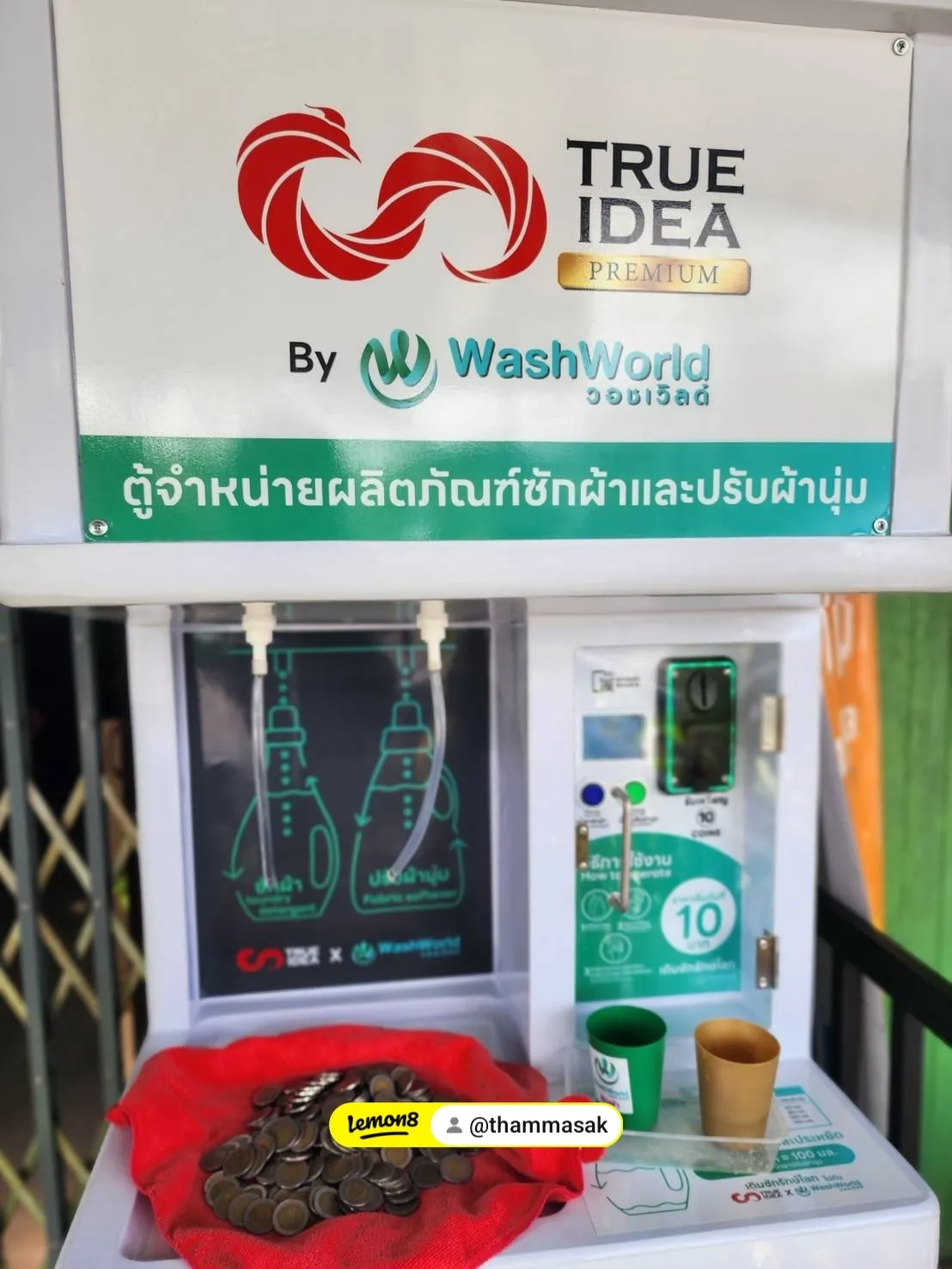 เสือนอนกิน มีจริงแล้วจร้า!!! | แกลเลอรีที่โพสต์โดย โค้ช หนุ่ม | Lemon8