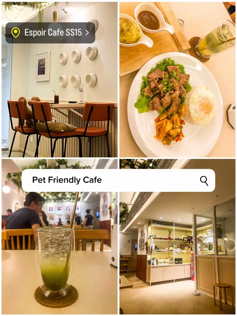 PET FRIENDLY CAFE 🐶🫶 IN SUBANG SS15 MALAYSIA💕 | แกลเลอรีที่โพสต์โดย MARIA | Lemon8