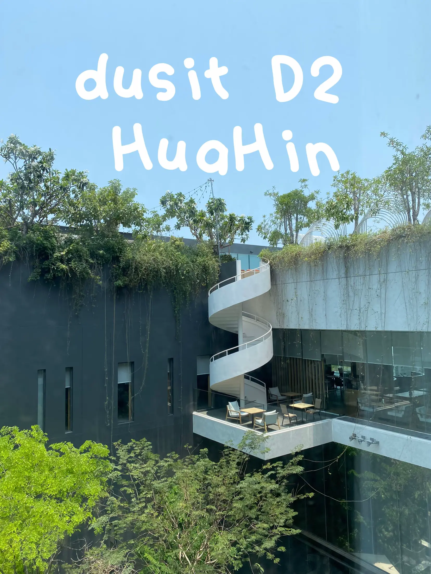 dusit D2 HuaHin | แกลเลอรีที่โพสต์โดย walnut24 | Lemon8