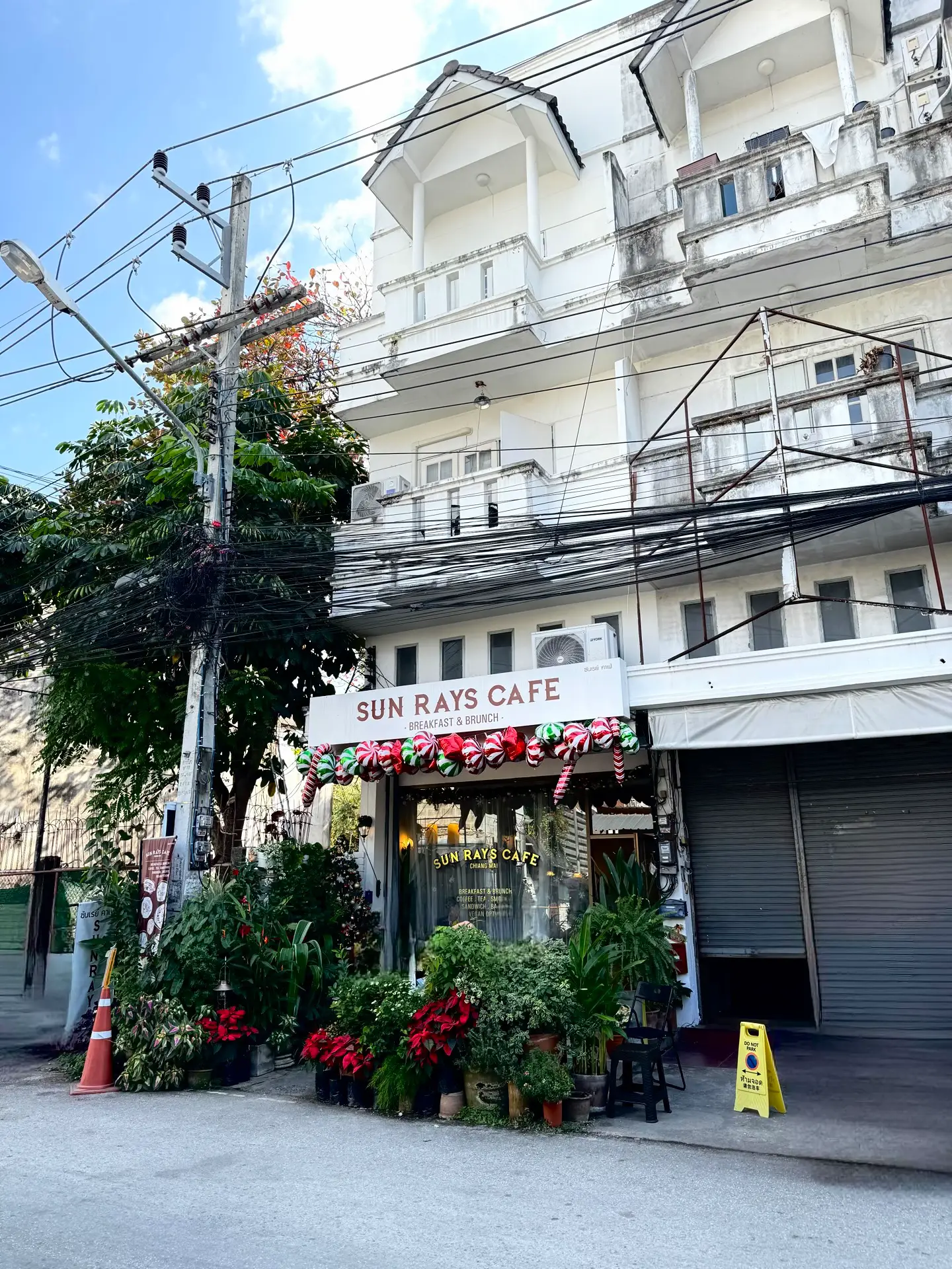 Sun rays cafe chiang mai | แกลเลอรีที่โพสต์โดย AnnyAey | Lemon8