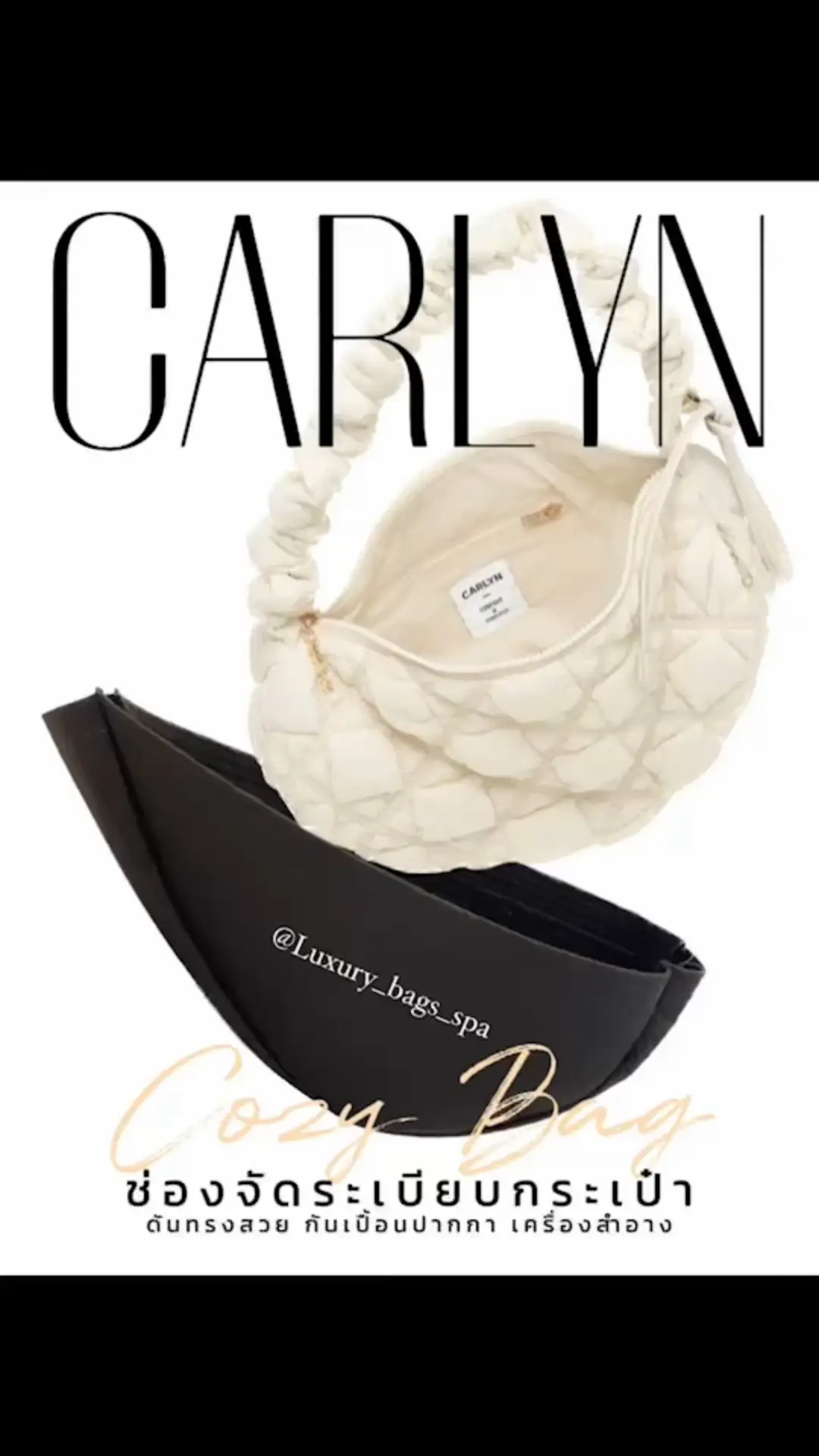 ช่องจัดระเบียบกระเป๋า Carlyn Bag | วิดีโอที่เผยแพร่โดย LUXURY BAGS SPA ...