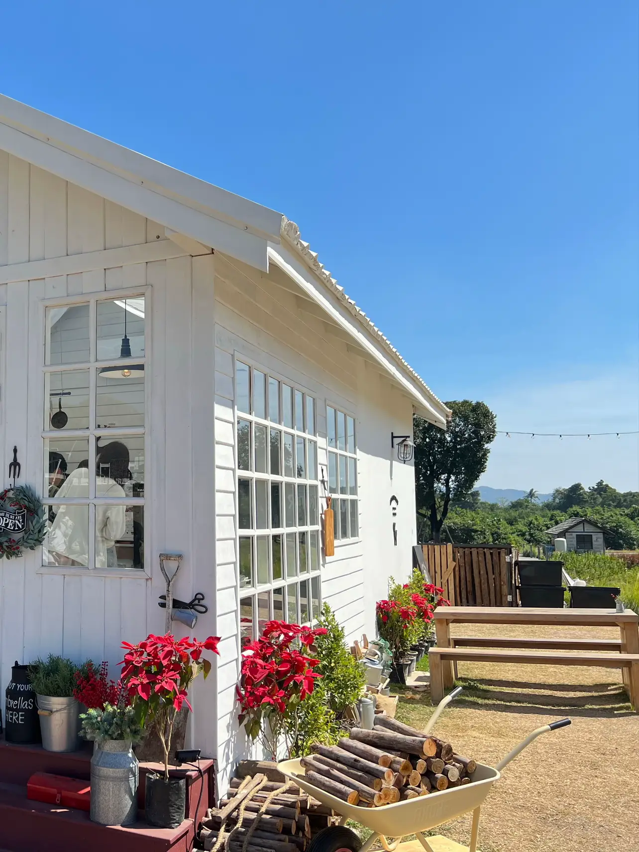 รีบไปก่อนปิด | After you midwinter farm khaoyai 🌤️🐑 | แกลเลอรีที่โพสต์ ...