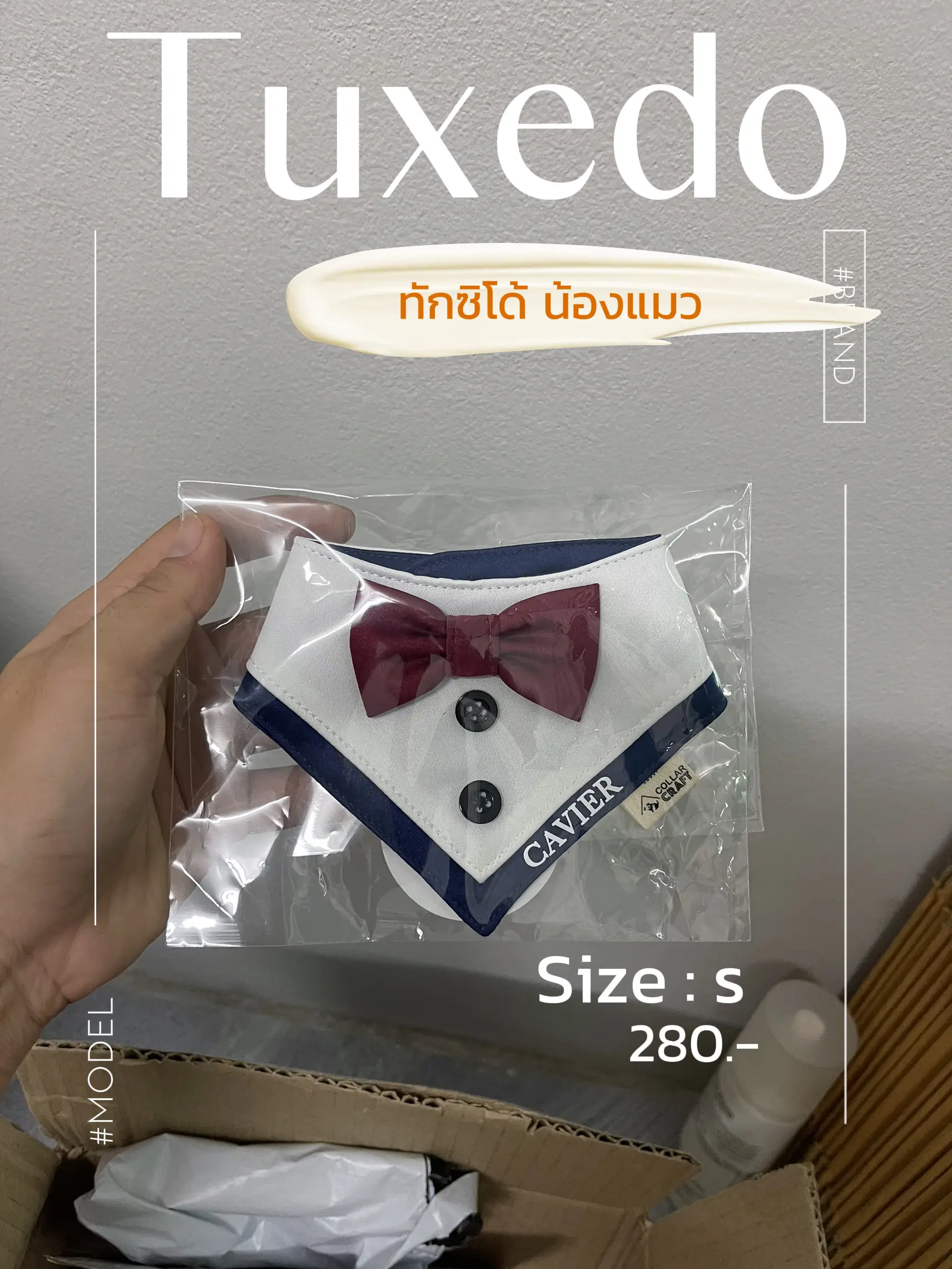 ทักซิโด้ ( Tuxedo ) น้องแมวสุดหล่อ 🐈 | แกลเลอรีที่โพสต์โดย Chamai.porn | Lemon8