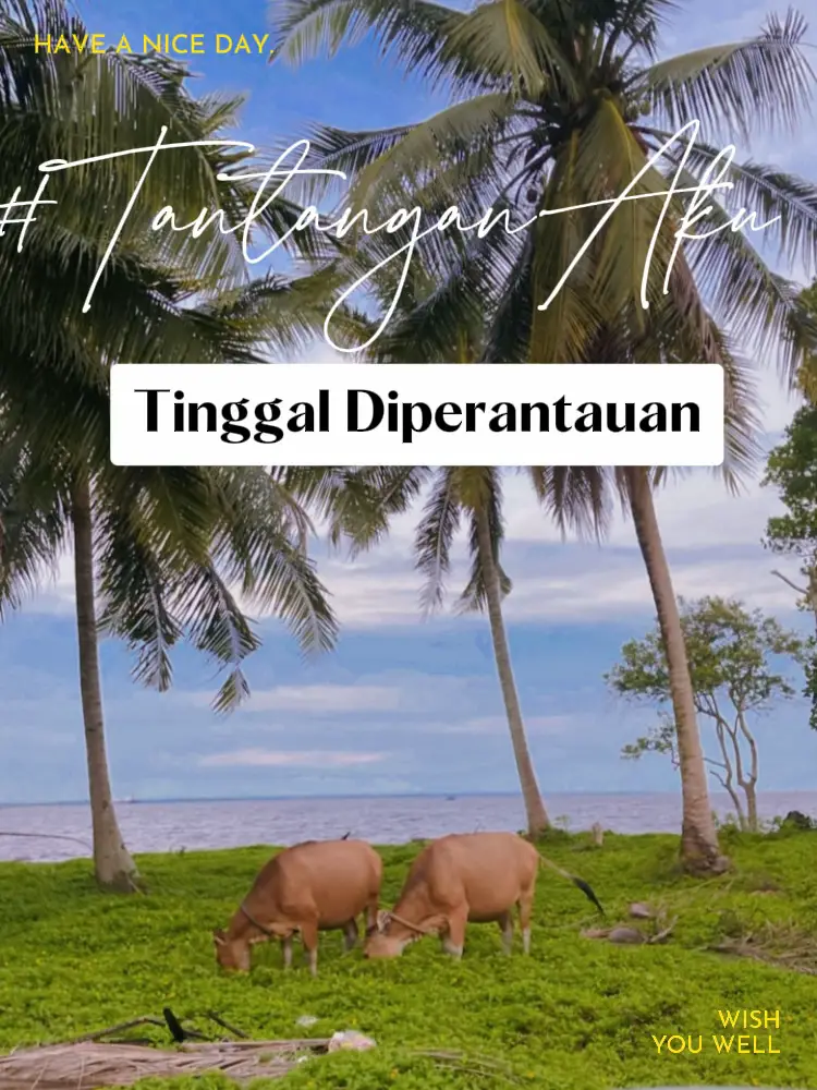Tantangan Aku tinggal diperantauan | Galeri diposting oleh Rinta | Lemon8