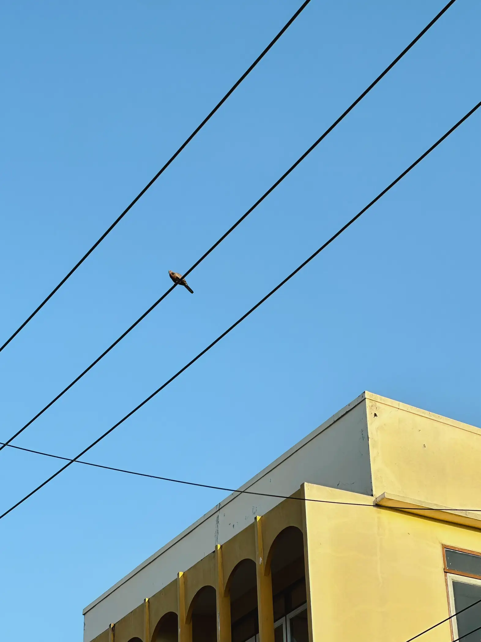 sky backgrounds - การค้นหาใน Lemon8