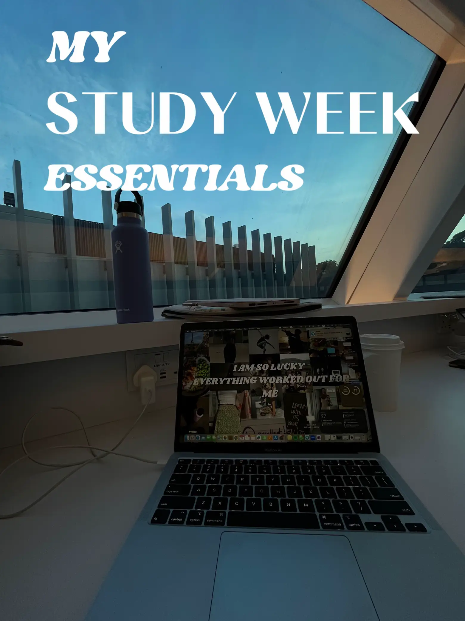 STUDY WEEK ESSENTIALS! | Gallery posted by maine | Lemon8