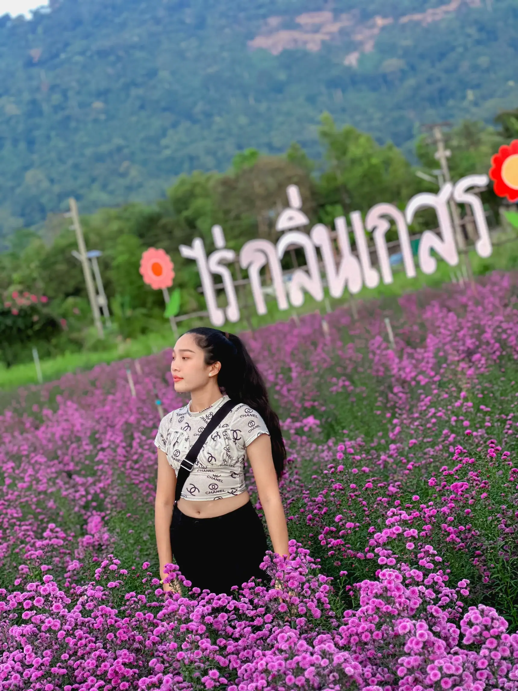 ไร่กลิ่นเกสร🥰 | แกลเลอรีที่โพสต์โดย Thitima Sansaom | Lemon8