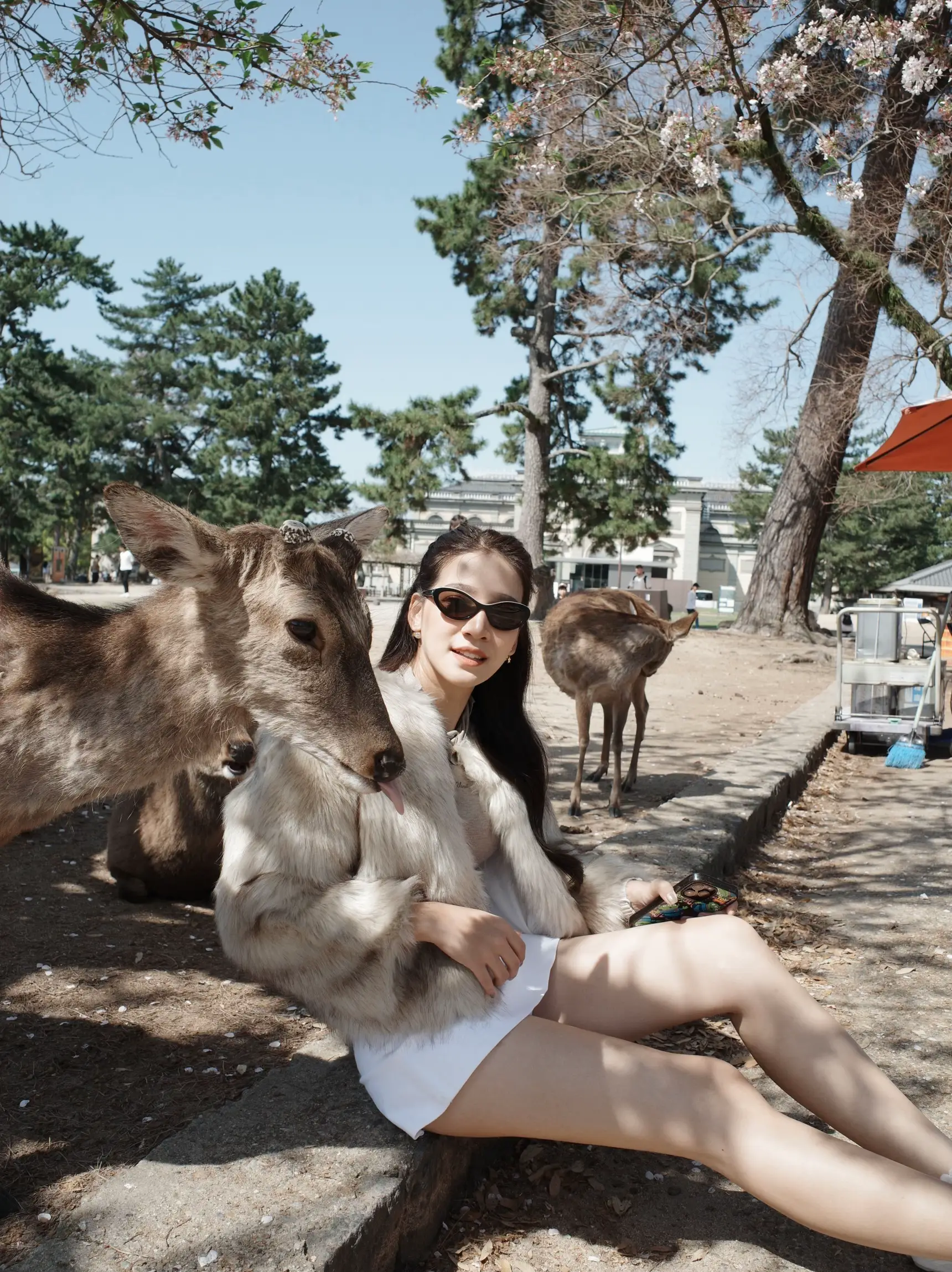 รีวิวกล้อง RICOH GR III. | แกลเลอรีที่โพสต์โดย 𝒇𝒐𝒏𝒈𝒏𝒂𝒎🫧 | Lemon8