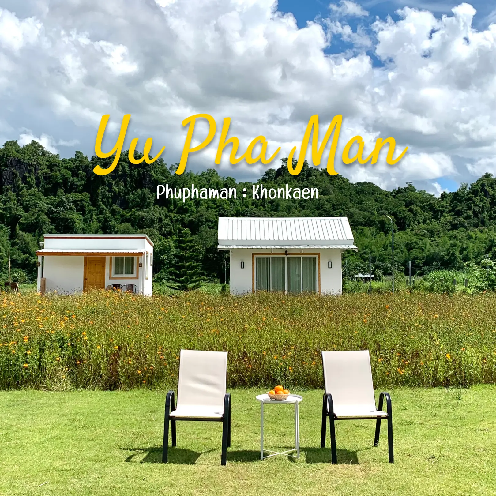 อยู่ผาม่าน Yu Pha Man คาเฟ่ฟีลญี่ปุ่น 🥤🍰 | ภูผาม่าน ขอนแก่น | Gallery posted by newmaimai 🐥 | Lemon8