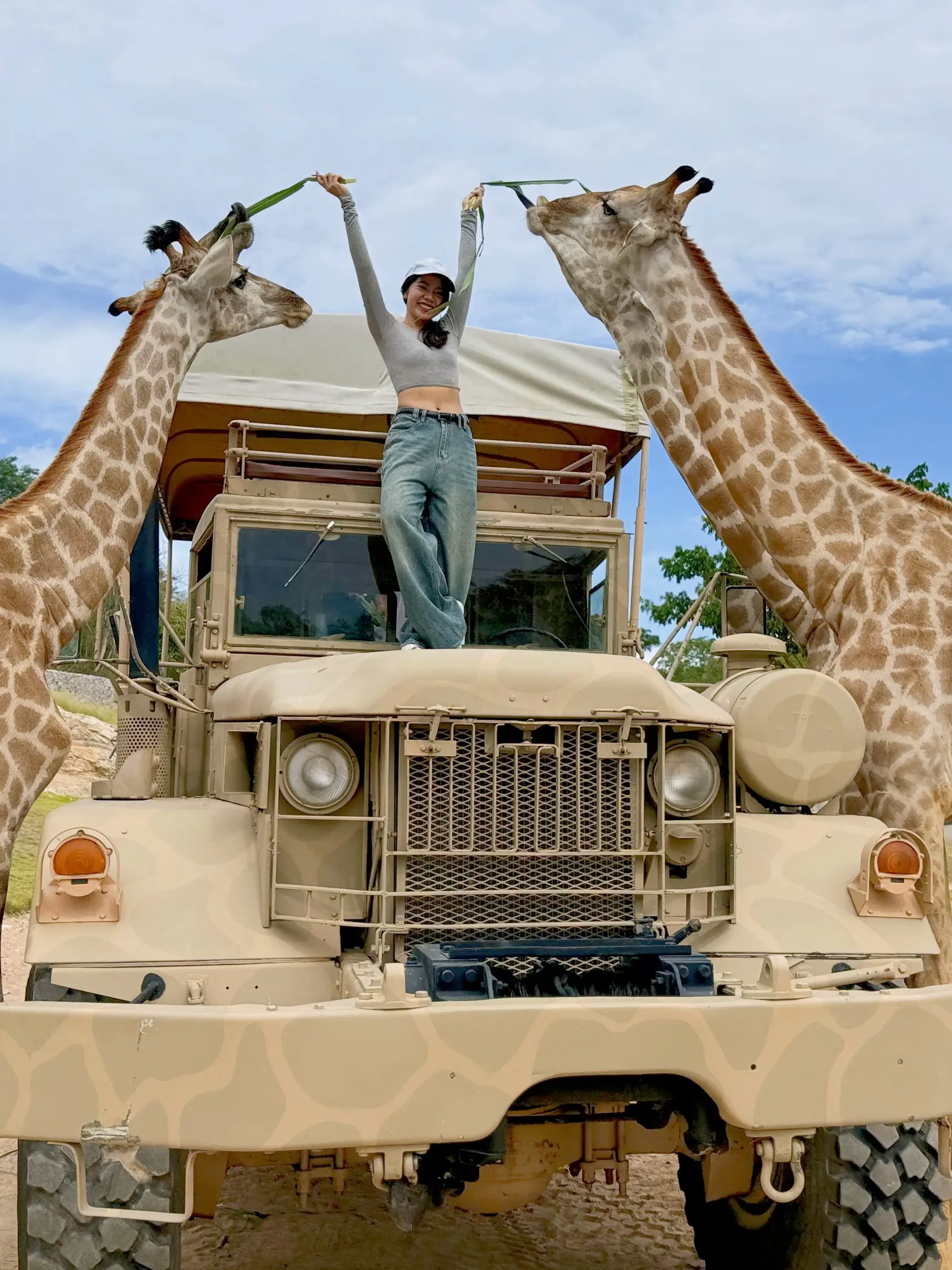 Hua Hin Safari & Adventure Park | แกลเลอรีที่โพสต์โดย Wirakornny | Lemon8