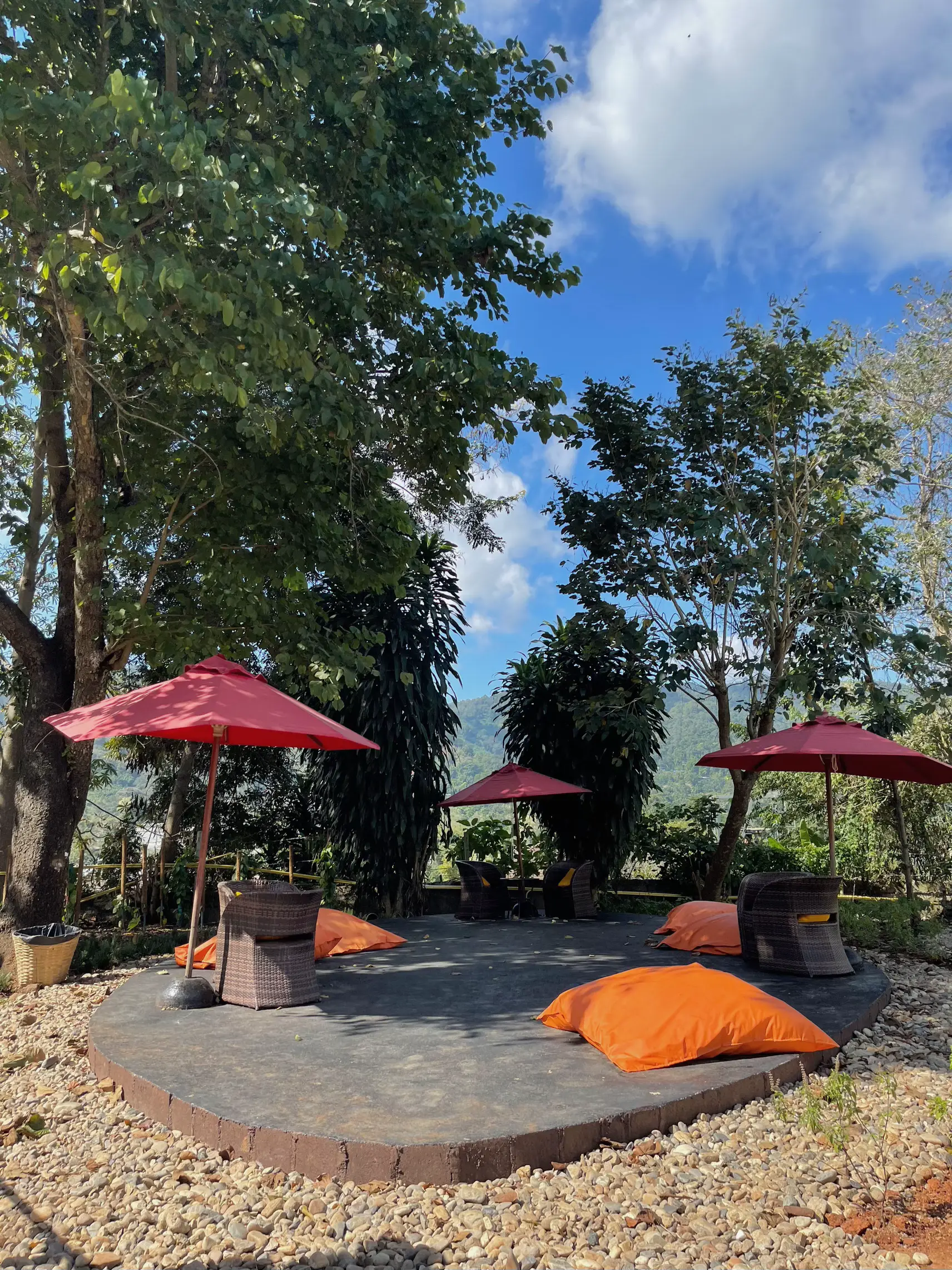 เก็บผัก จิบกาแฟ ดูไก่ฝรั่ง | แกลเลอรีที่โพสต์โดย WANTIYA | Lemon8