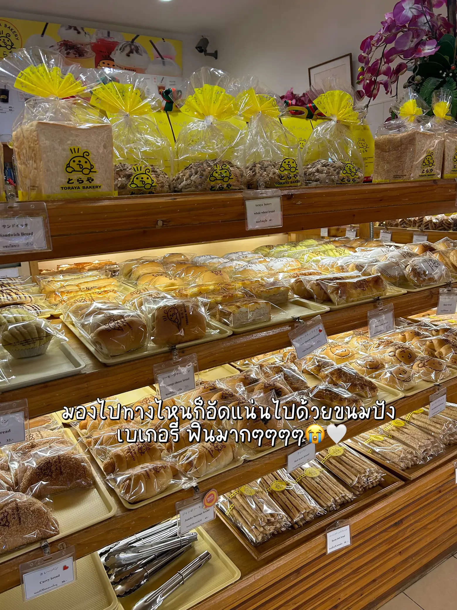 Toraya Bakery🍞 | ร้านเบเกอรี่ญี่ปุ่นลับสุดยอด อยู่มานานกว่า20ปี | แกลเลอรีที่โพสต์โดย B. | Lemon8