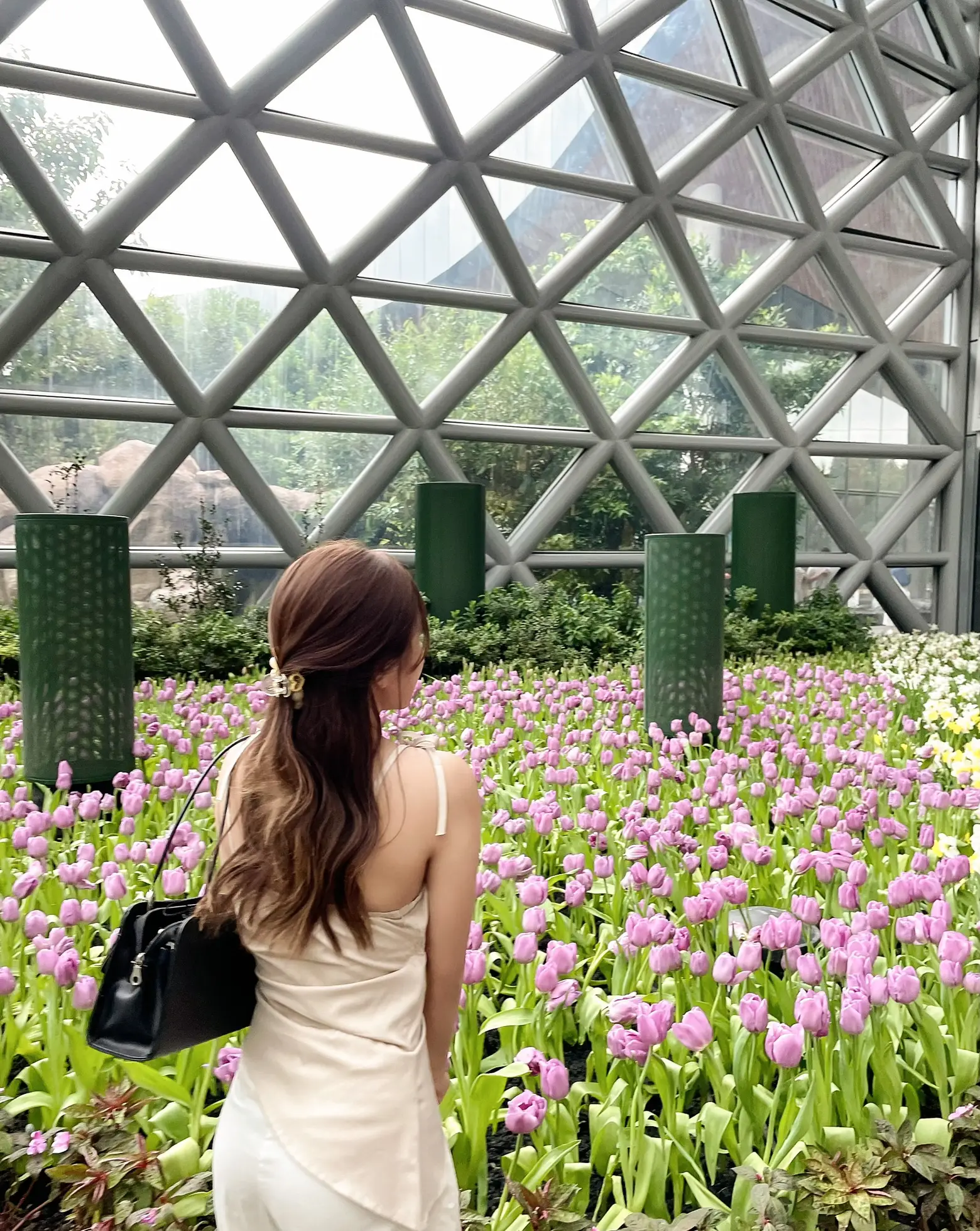Miracle of Natural at Exhibition Hall 🌷🌷 | แกลเลอรีที่โพสต์โดย ...