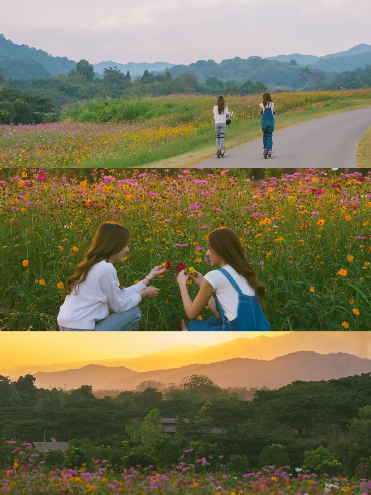 สิ้นปีนี้มารับลมหนาวกับบรรยากาศดี ๆ ️💐 | แกลเลอรีที่โพสต์โดย lbzero | Lemon8