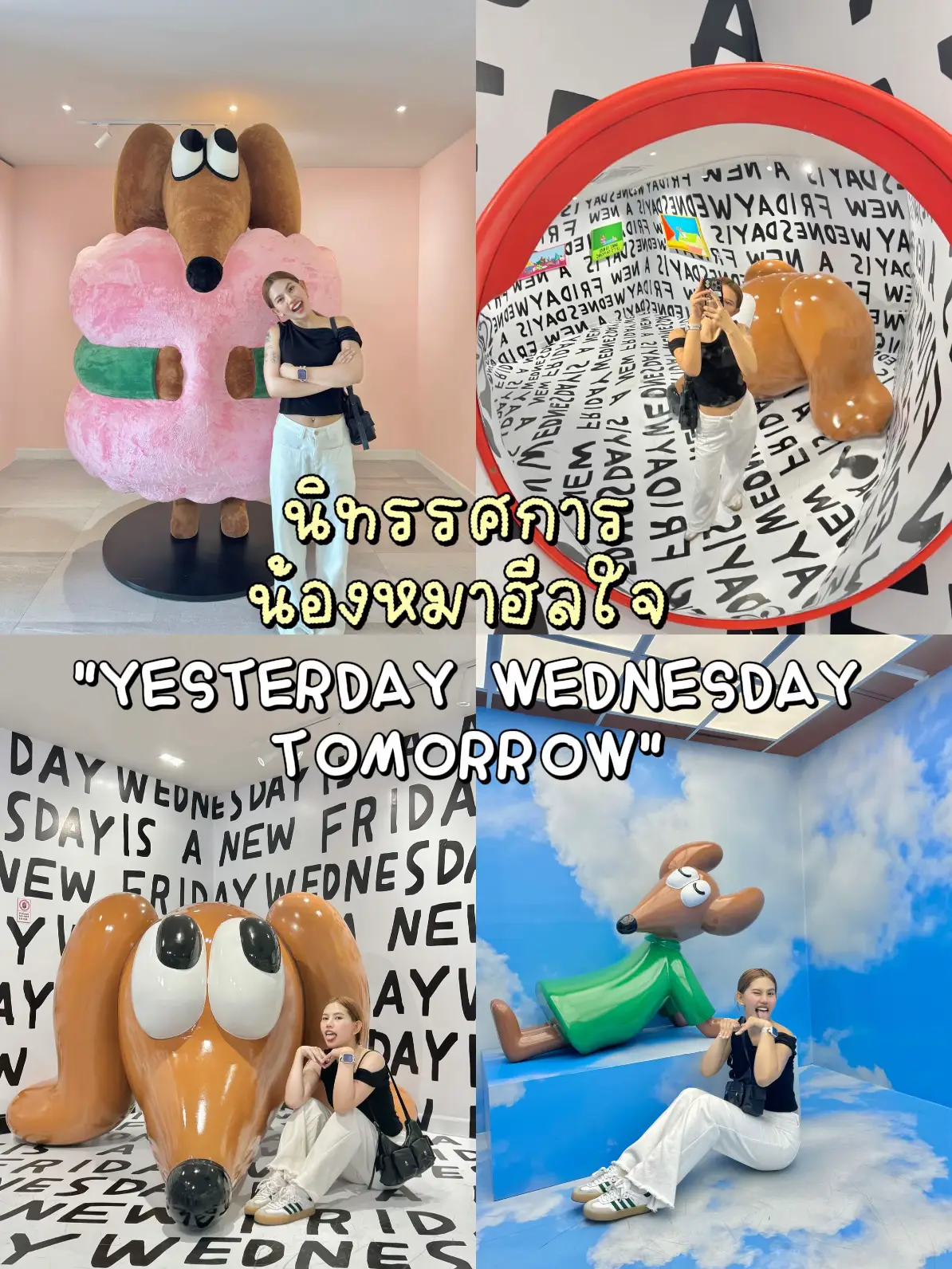 นิทรรศการน้องหมาน้อยขี้เขิน Wednesday🐶 | แกลเลอรีที่โพสต์โดย Cara | Lemon8