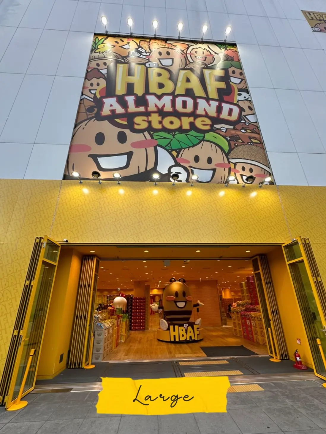 Large HBAF Store at Myeongdong, Seoul | Video published by Realillustrator | Lemon8