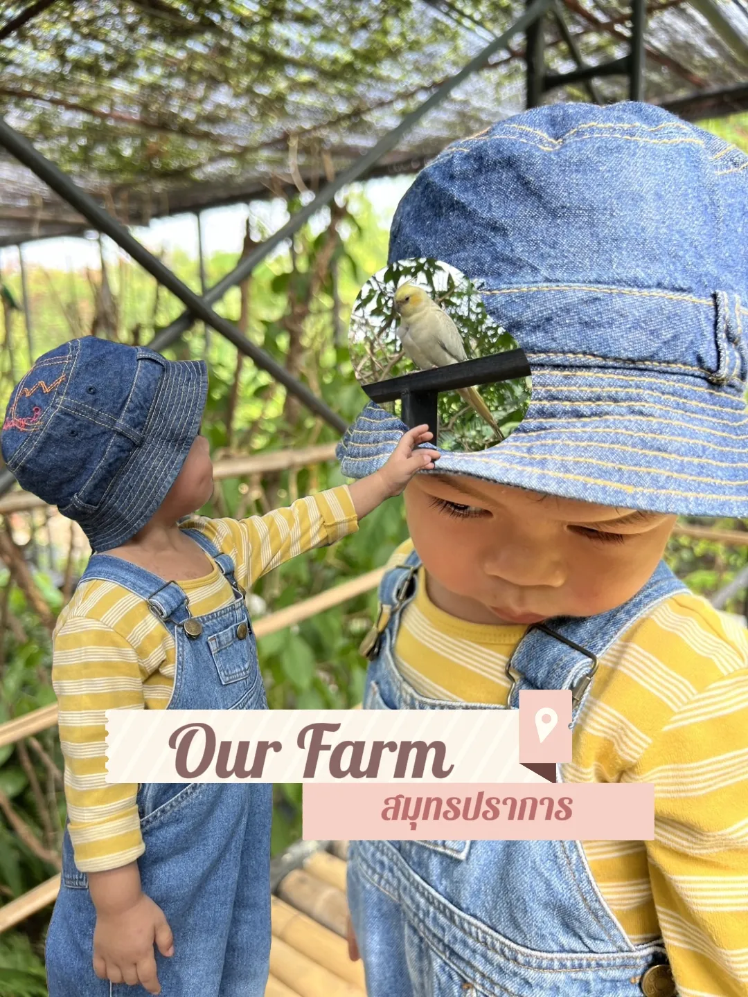 Our Farm | แกลเลอรีที่โพสต์โดย Pagbung🌿 | Lemon8